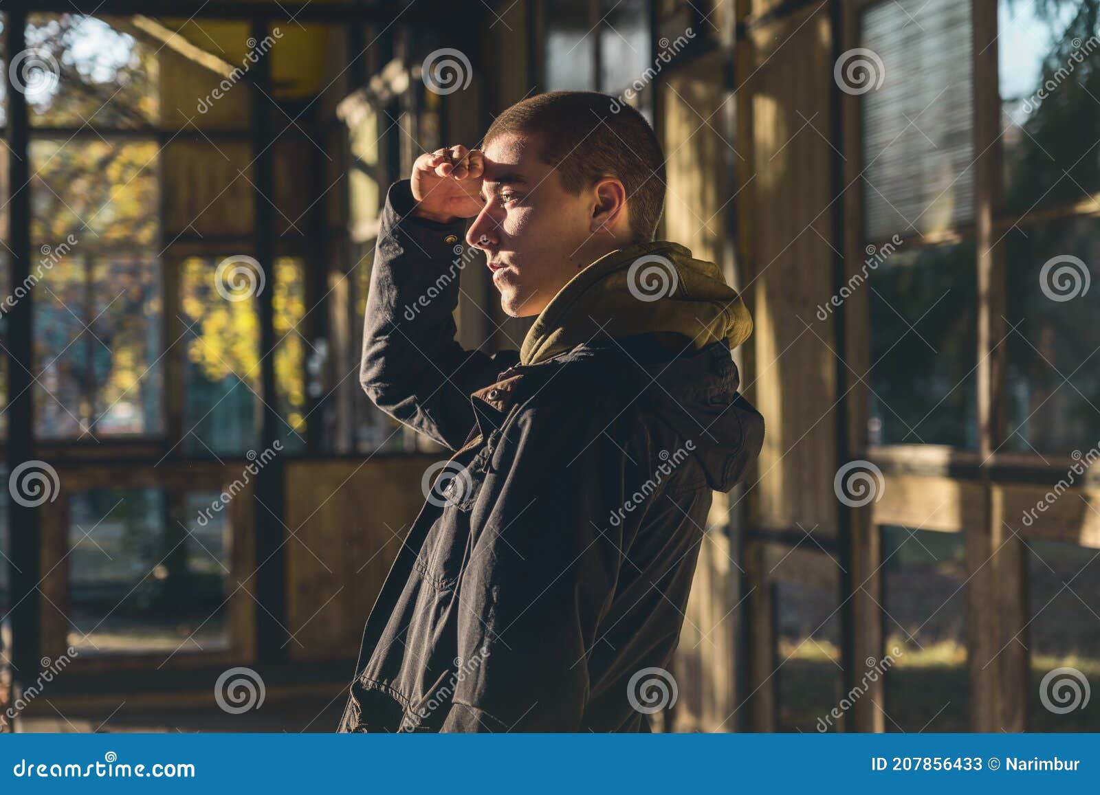 Young Man in Profile with Evening Sun Looking Out Stock Image - Image ...