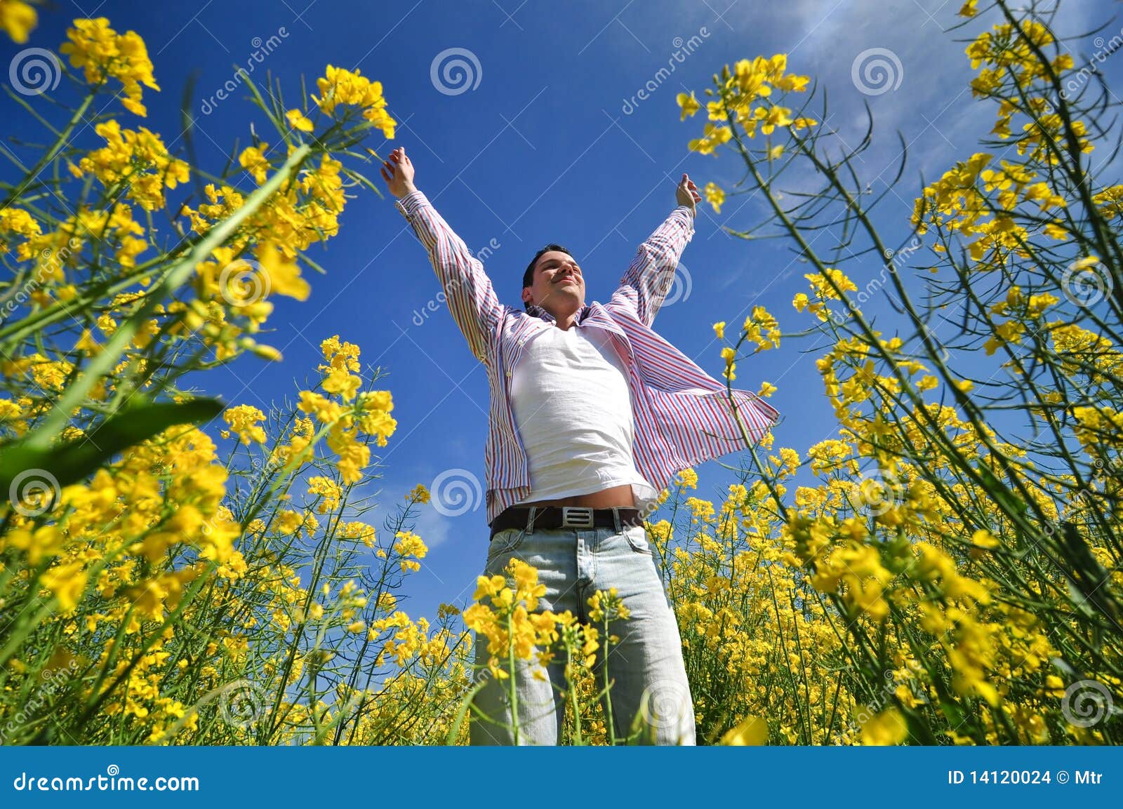 Young man in field stock photo. Image of freshness, cute - 14120024