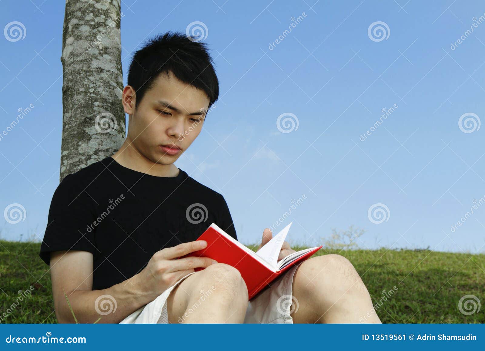 Young Man Reading stock image. Image of young, hardcover - 13519561