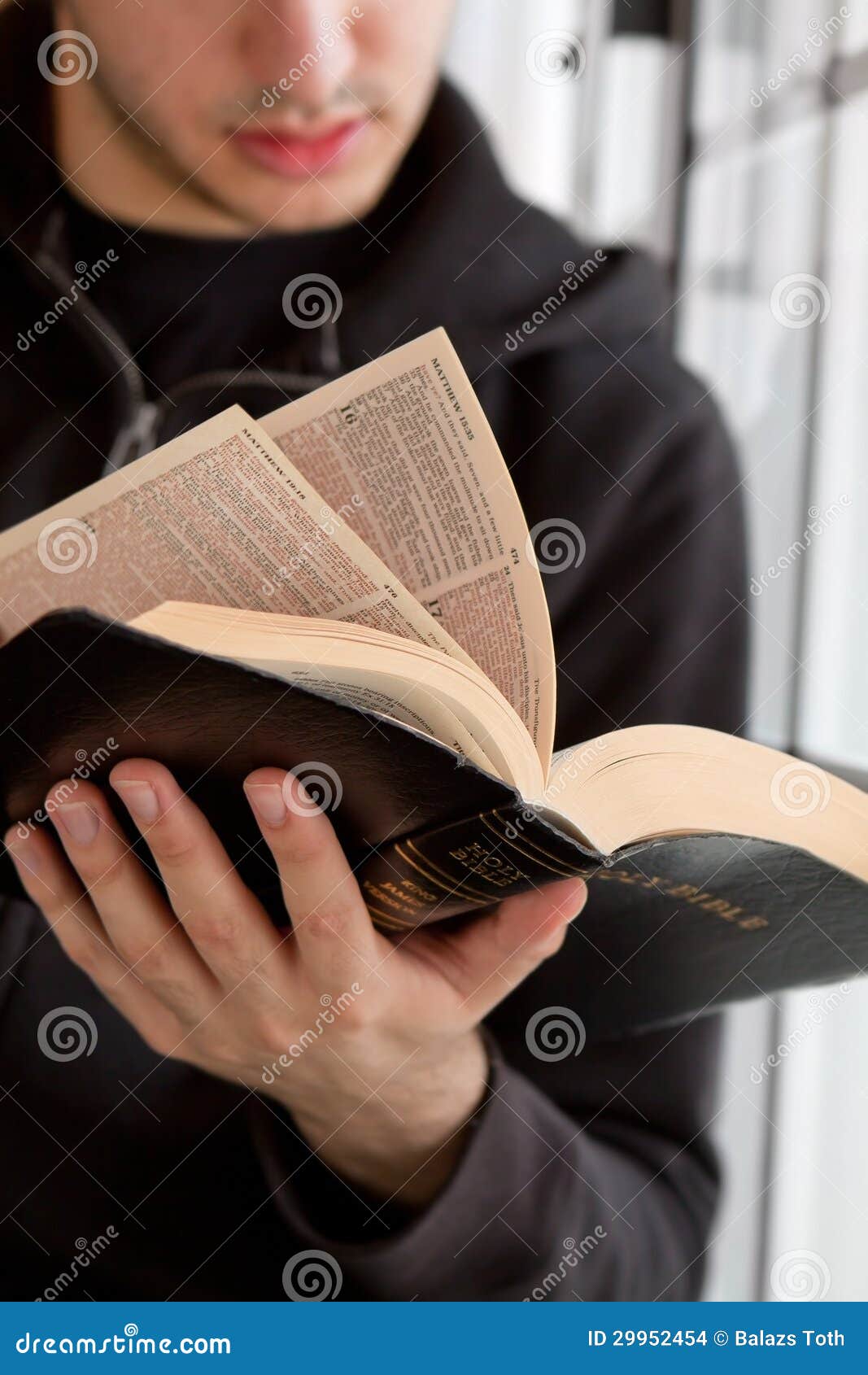 Man Reading Bible stock photo. Image of education, gospel - 29952454