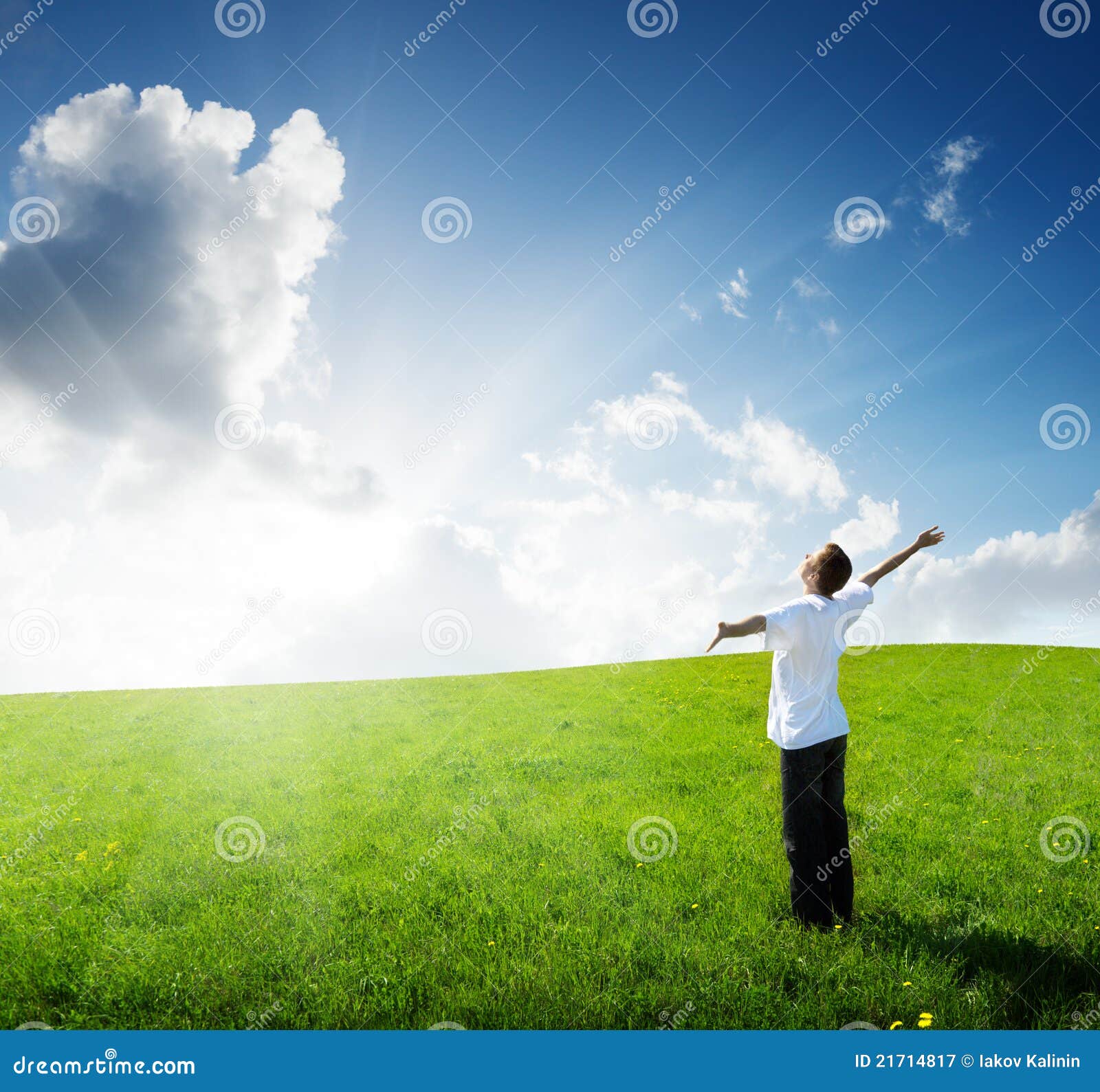 Young Man Relax on the Field Stock Image - Image of health, blue: 21714817