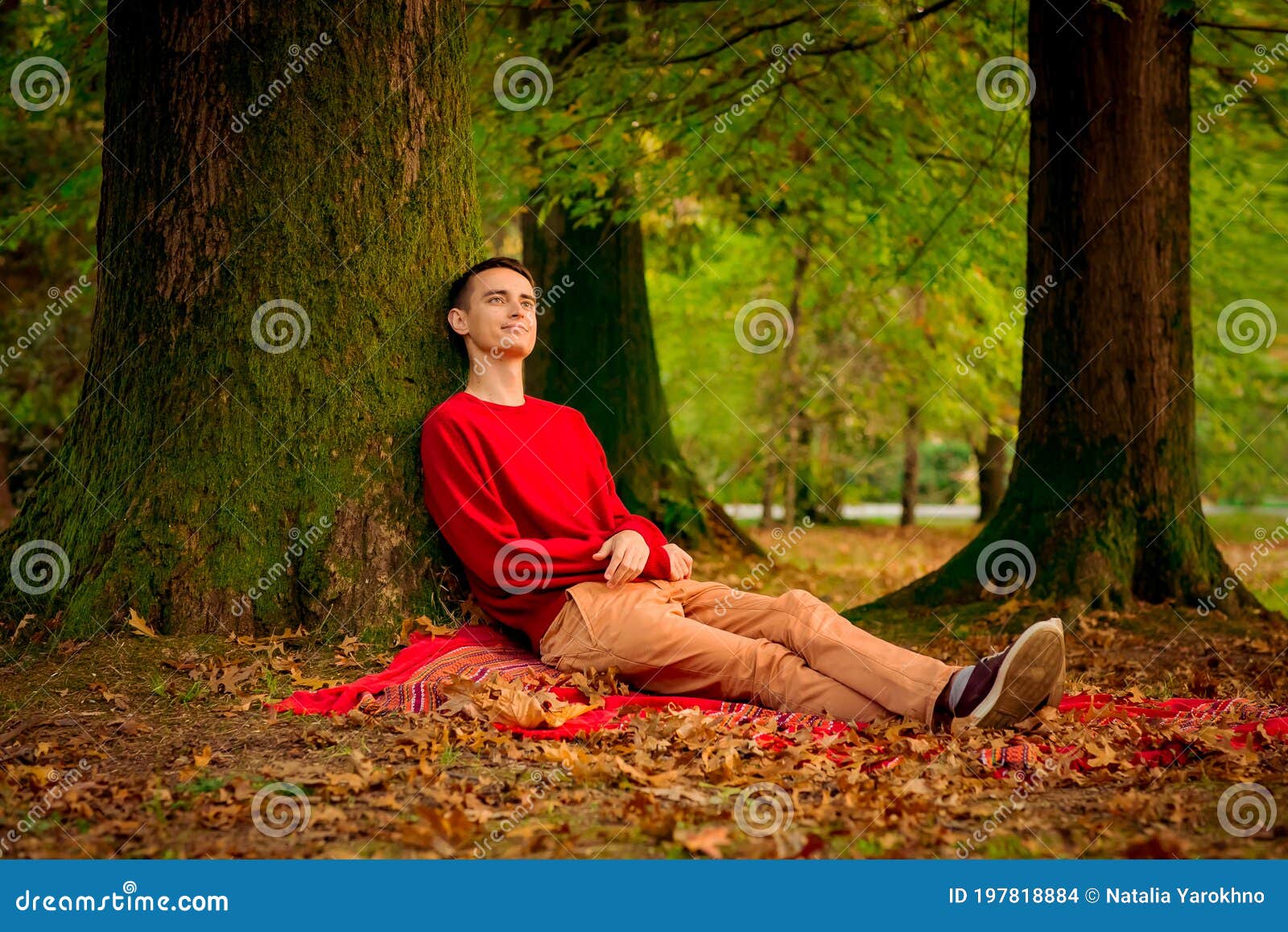 Young Man Resting Under an Autumn Tree in the Park Stock Photo - Image ...