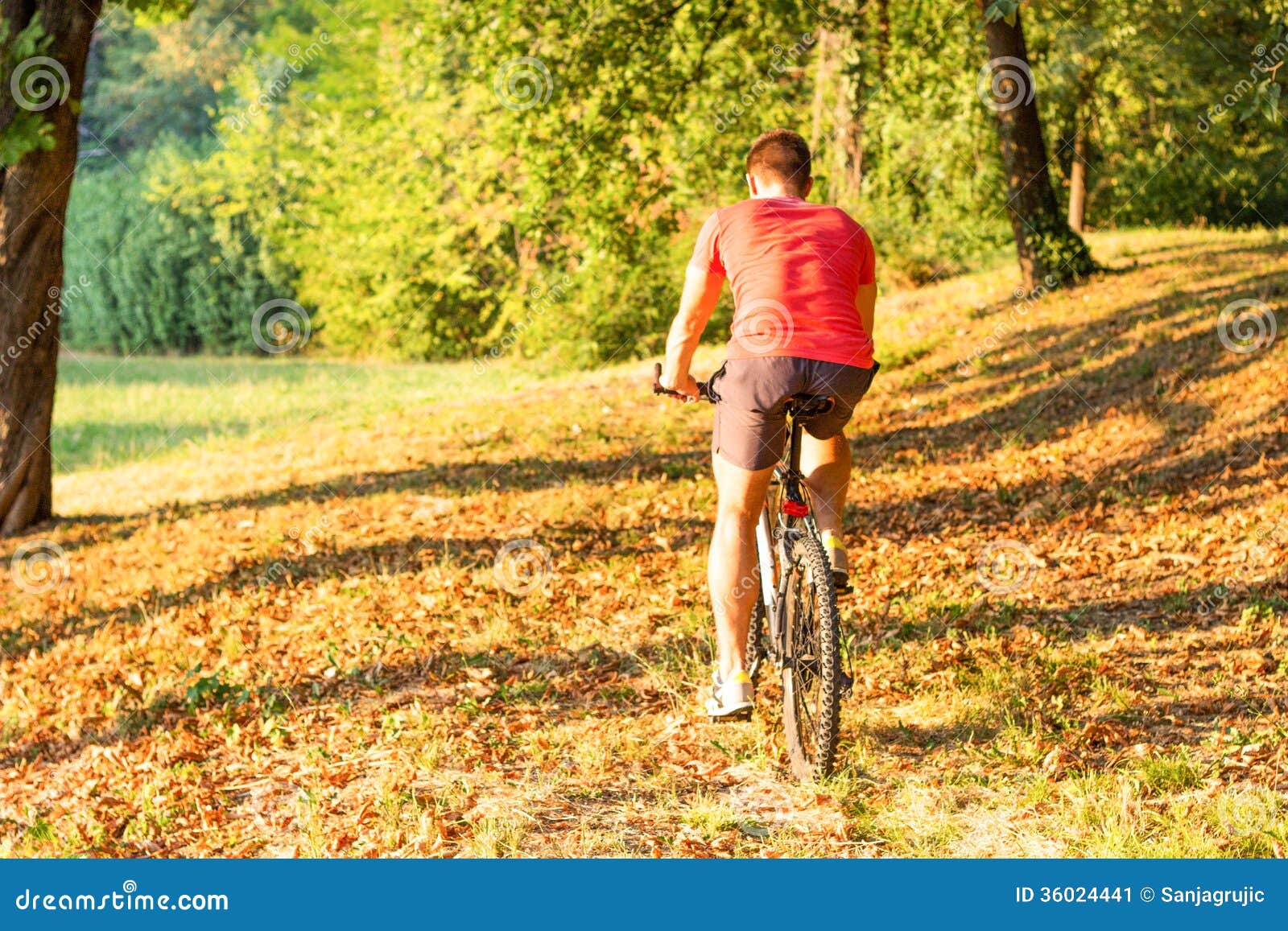 Young man riding bike stock image. Image of lifestyles - 36024441