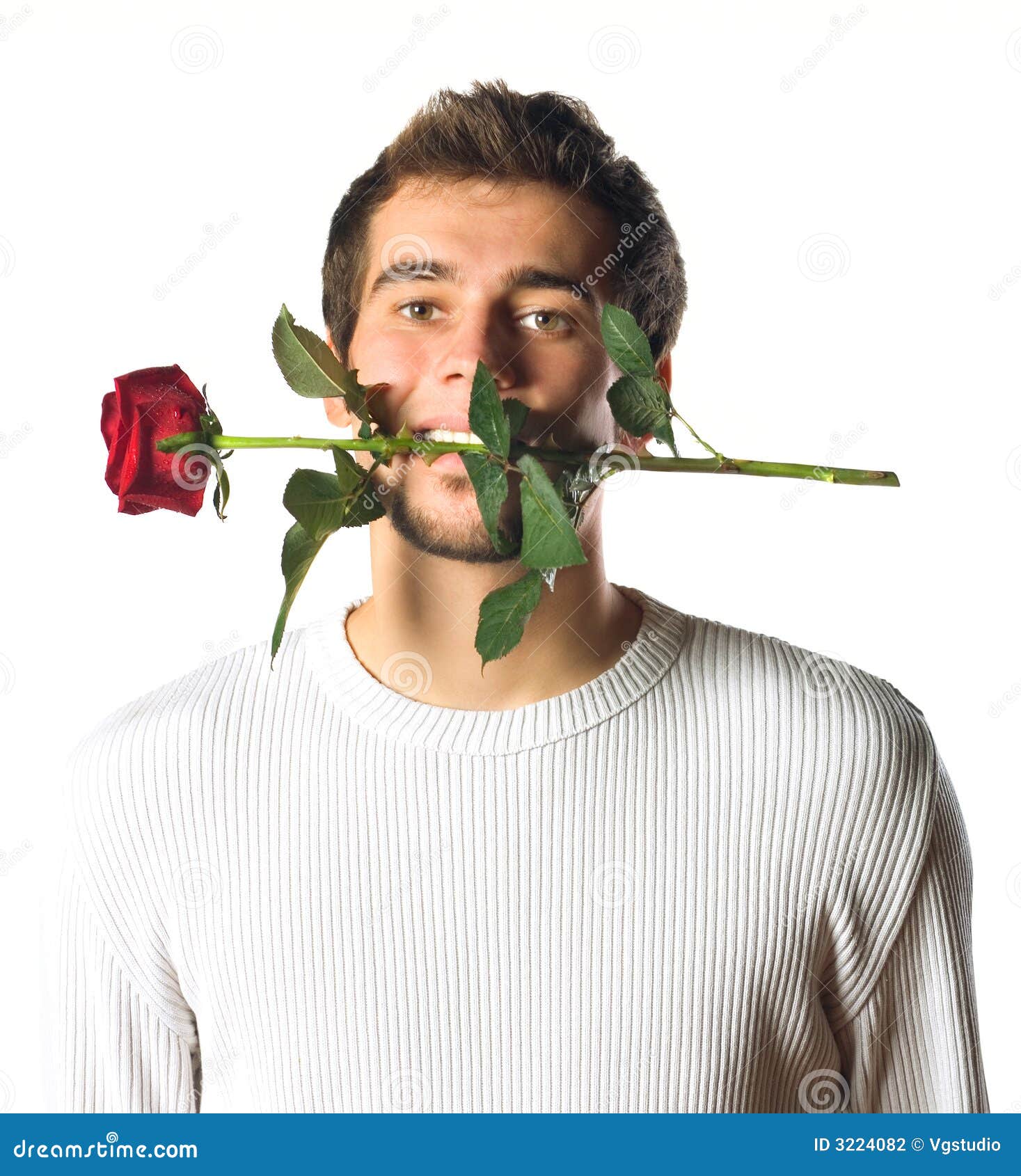 Young man with rose stock photo. Image of isolated, sensual - 3224082