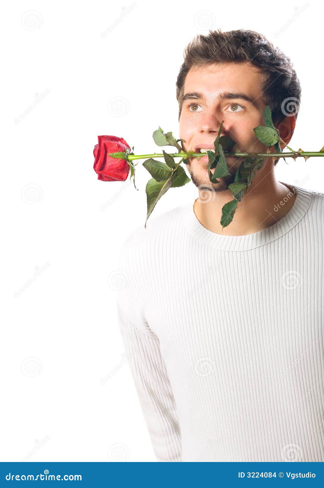 Young man with rose stock photo. Image of lifestyle, lover - 3224084