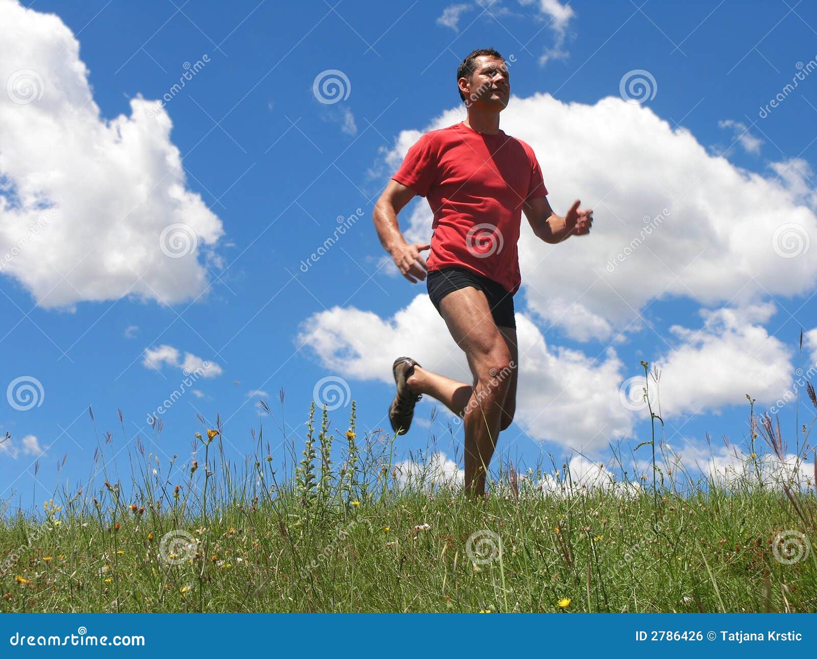 Young man is running stock photo. Image of jogging, athlete - 2786426