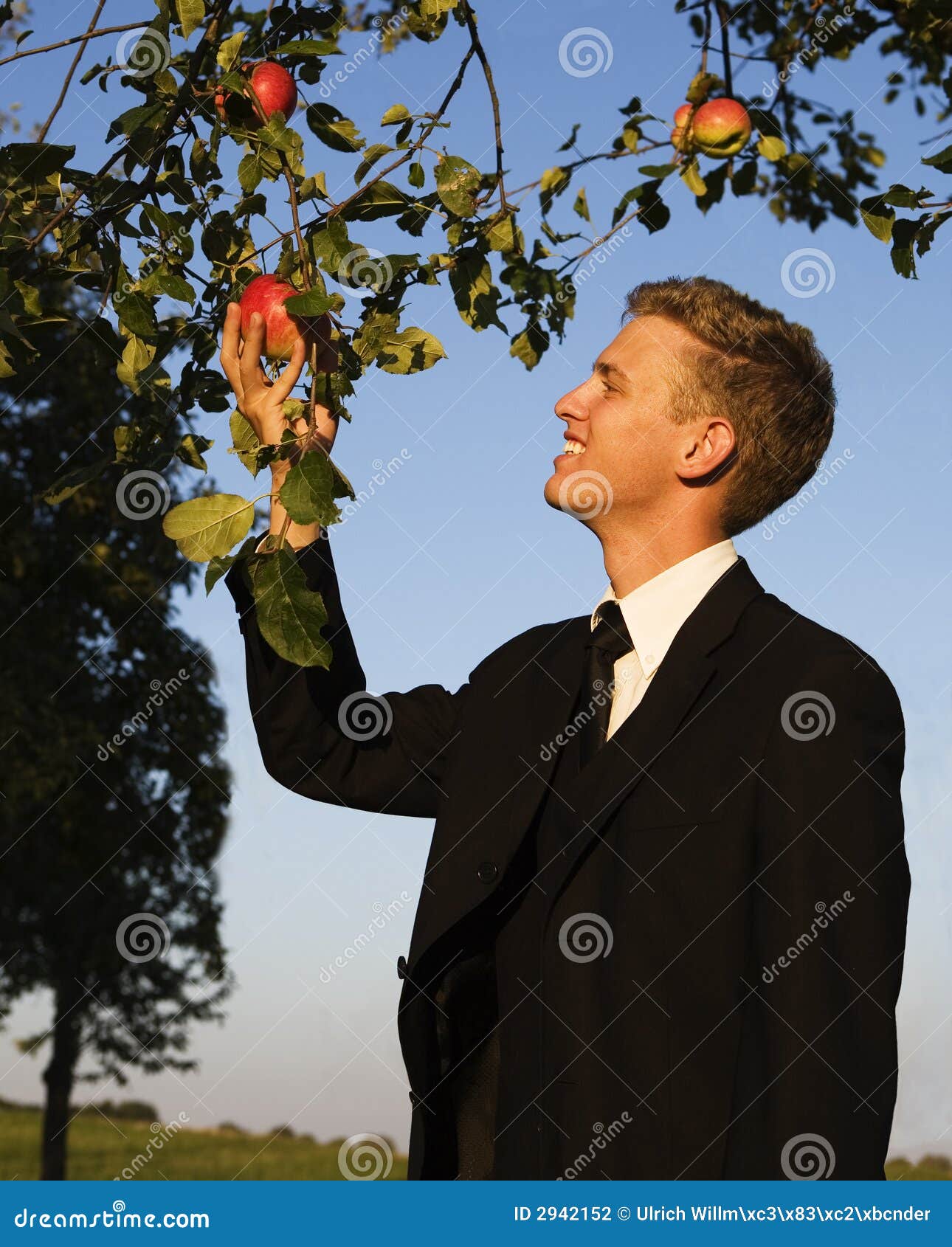 Young man sampling apple stock photo. Image of owner, sample - 2942152