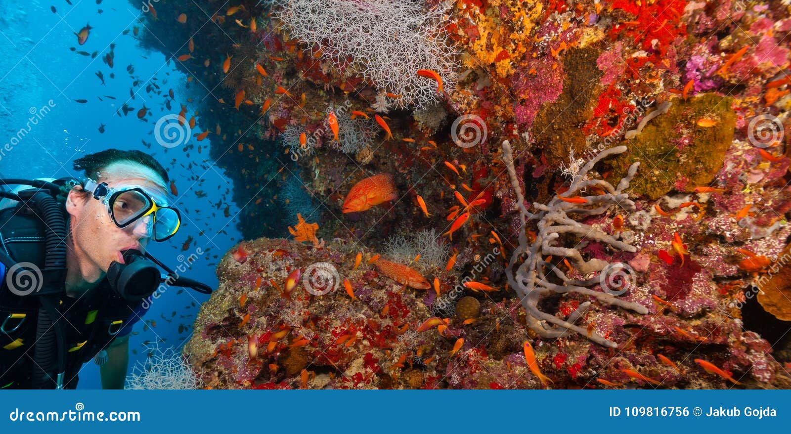 Young Man Scuba Diver Exploring Coral Reef Stock Photo - Image of ocean ...