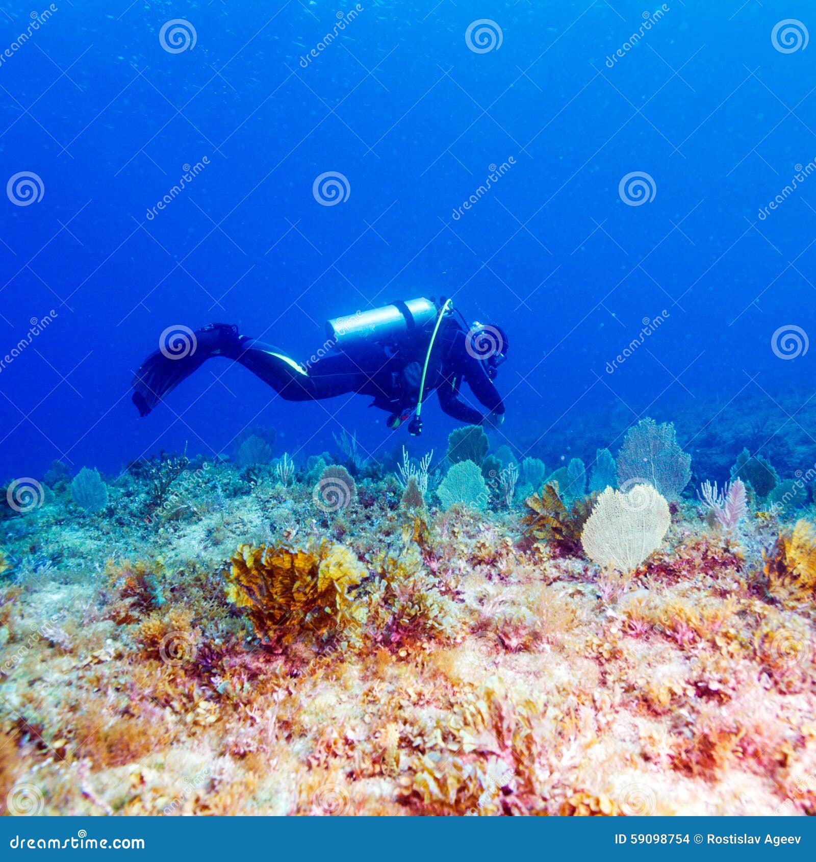 Young Man Scuba Diver stock photo. Image of asia, lombok - 59098754