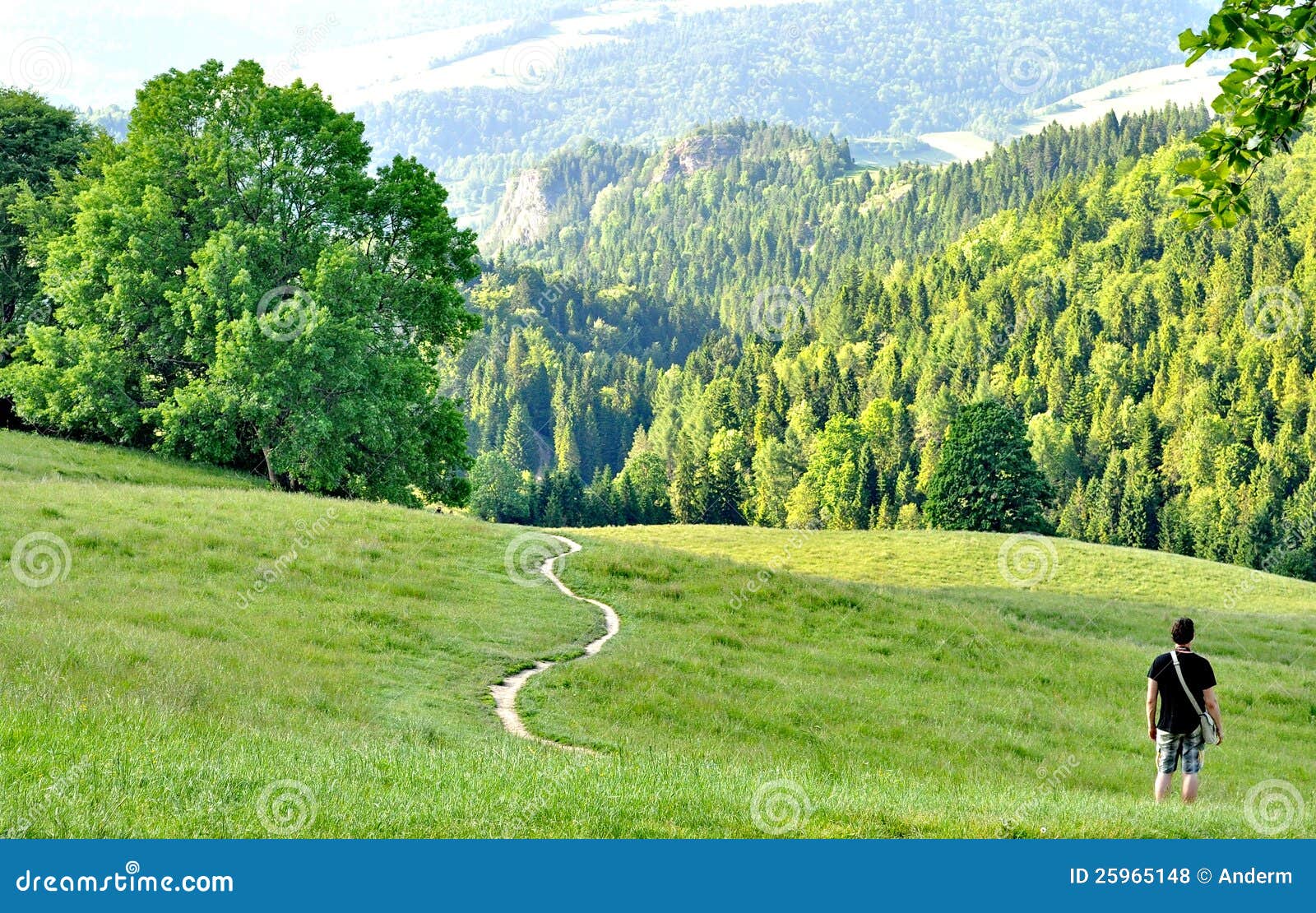 Young Man Searching for the Path Editorial Stock Photo - Image of ...
