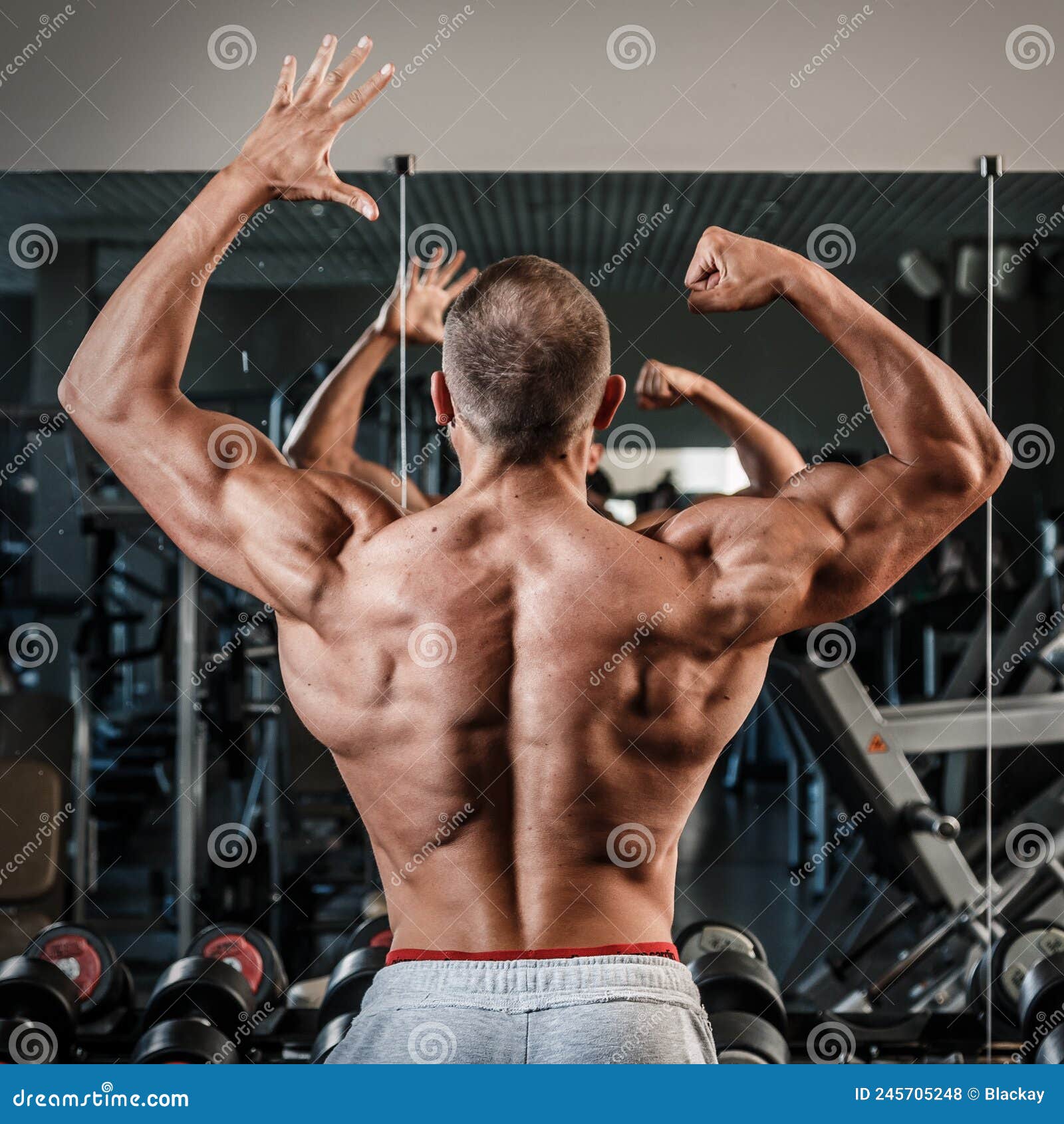 Young Man Showing His Muscular Back in Gym Stock Photo - Image of sport ...