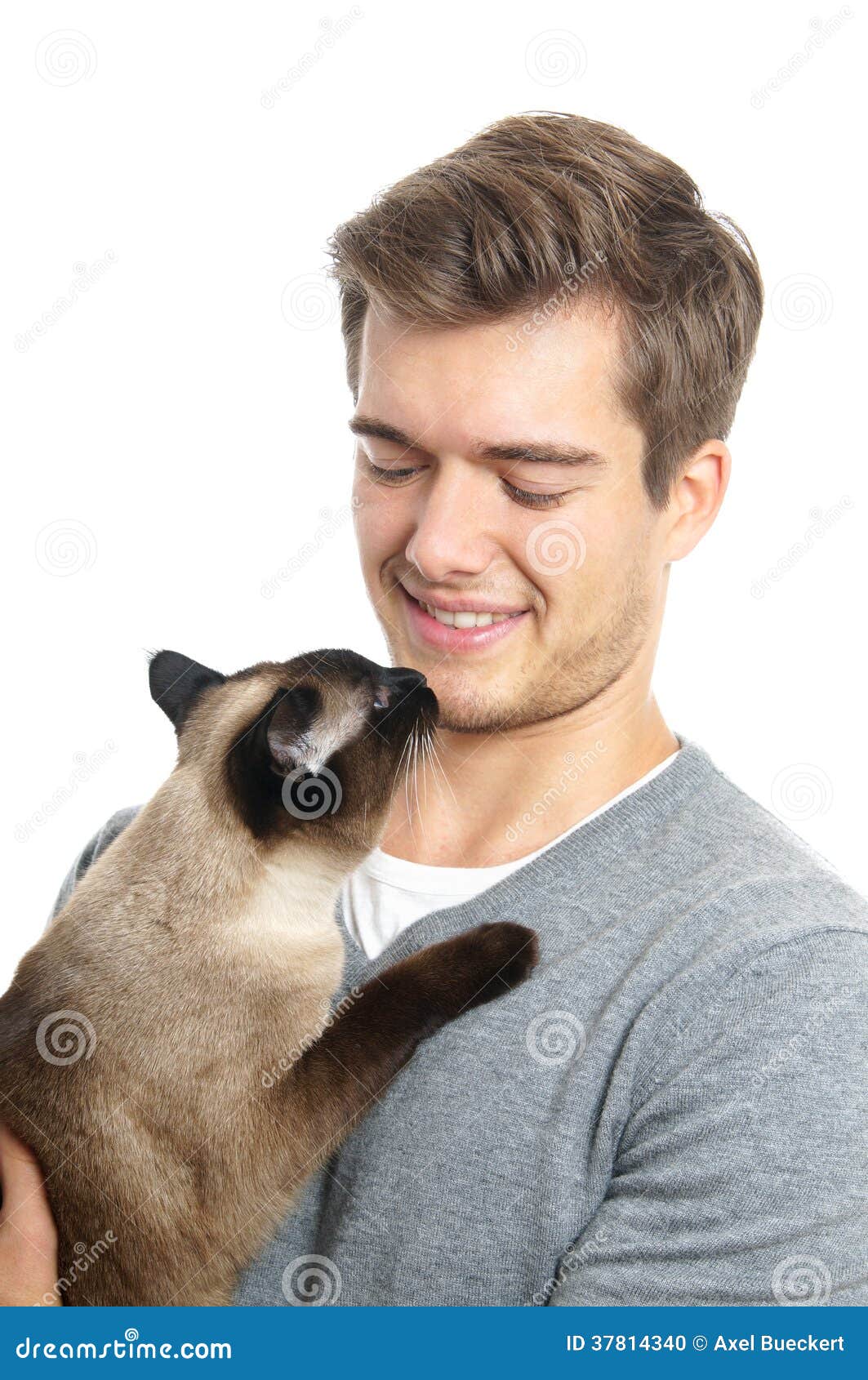 Young man with siamese cat stock photo. Image of casual - 37814340