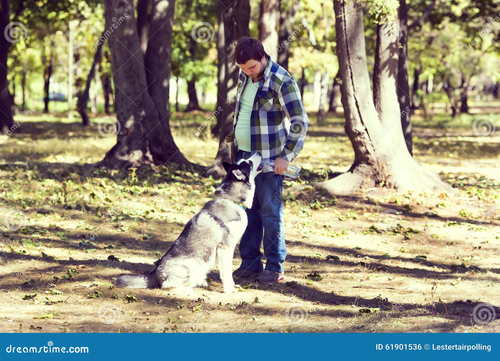 Young Man and the Siberian Husk Stock Photo - Image of cute, alaskan ...