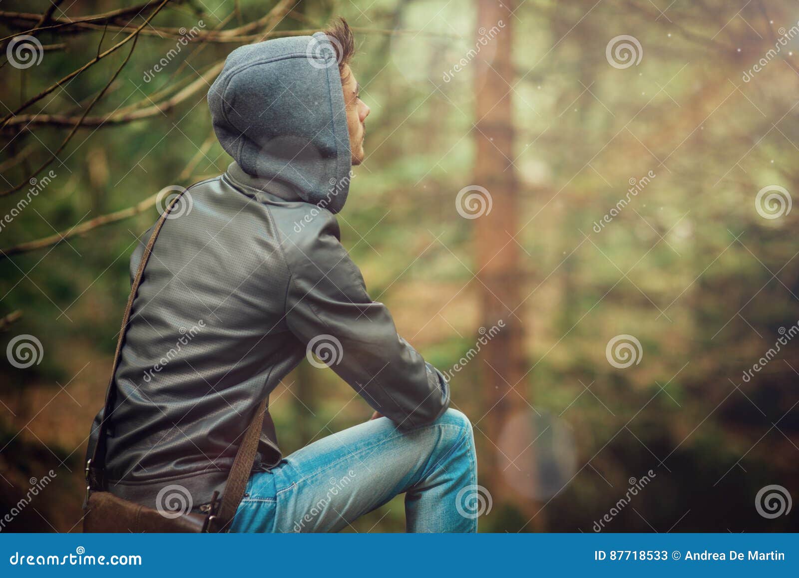 Young Man Sitting in a Forest Stock Image - Image of male, hoodie: 87718533