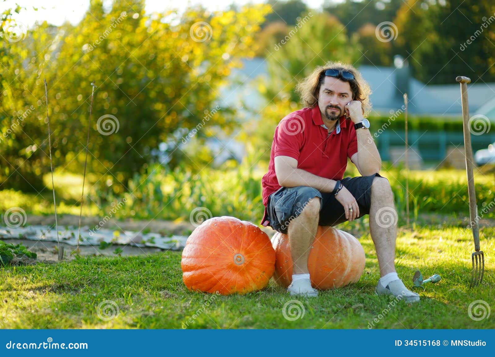 Young Man Sitting on Huge Pumpkins Stock Photo - Image of halloween ...