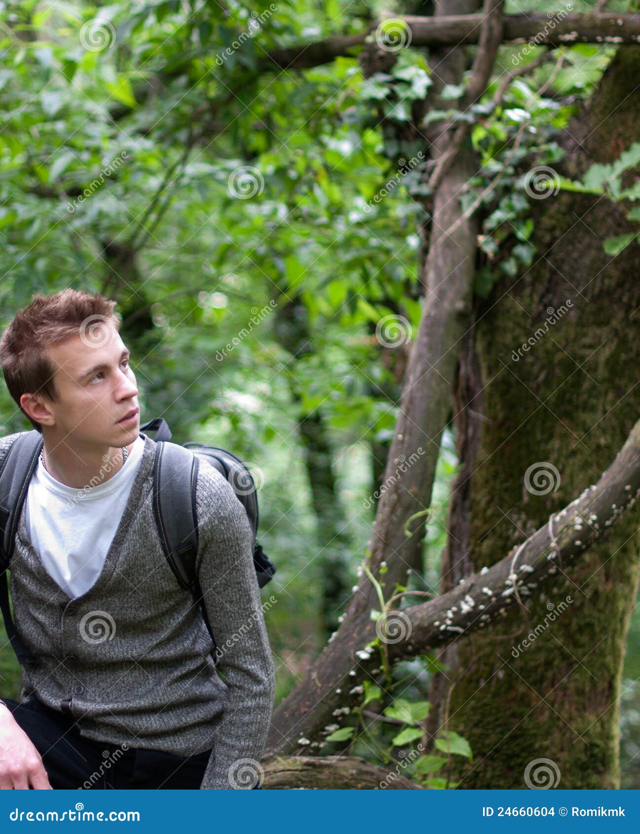 A Young Man Sitting in a Spring Forest Stock Photo - Image of handsome ...