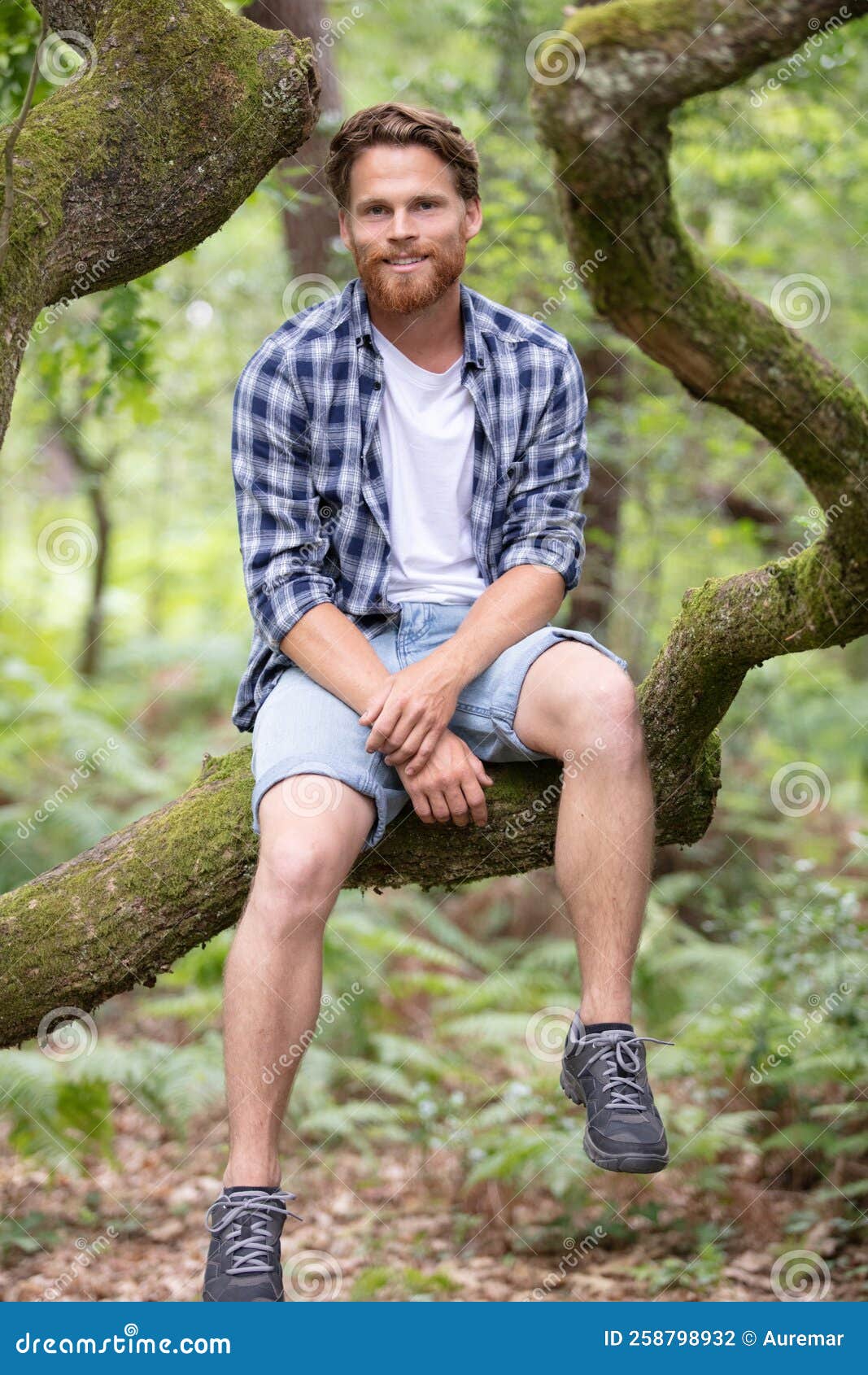 Young man sitting on tree stock photo. Image of male - 258798932