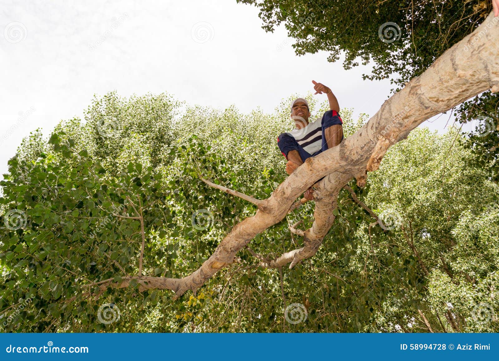 Young Man Sitting on a Tree Stock Photo - Image of tree, climbing: 58994728