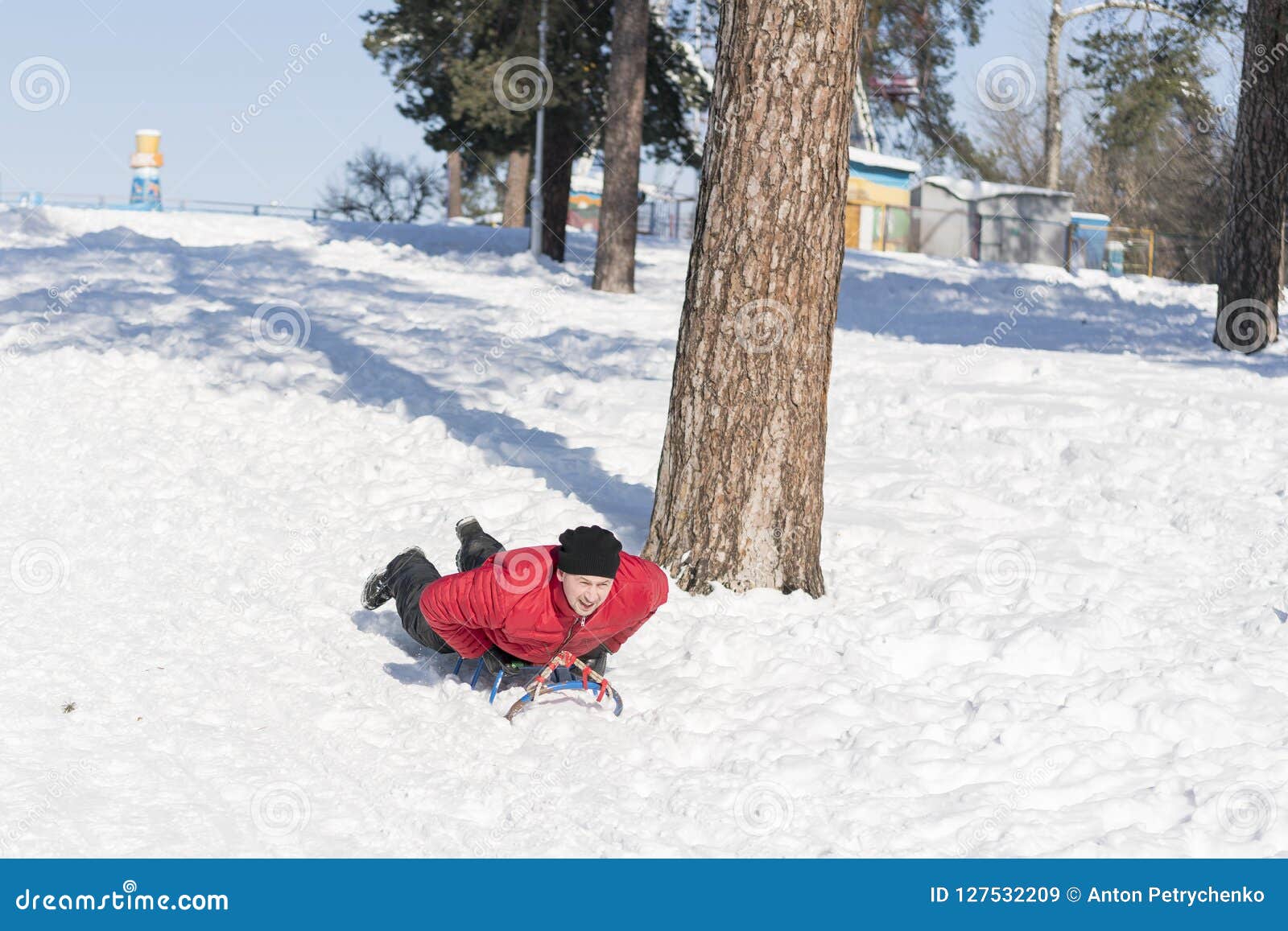 Young Man with Sled in the Snow. Young Man Making of the Sled Stock ...