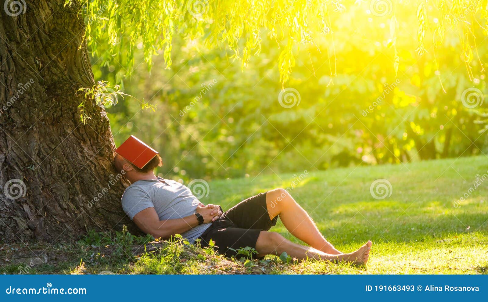 A Young Man is Sleeping Under the Tree with a Book on His Face Stock ...