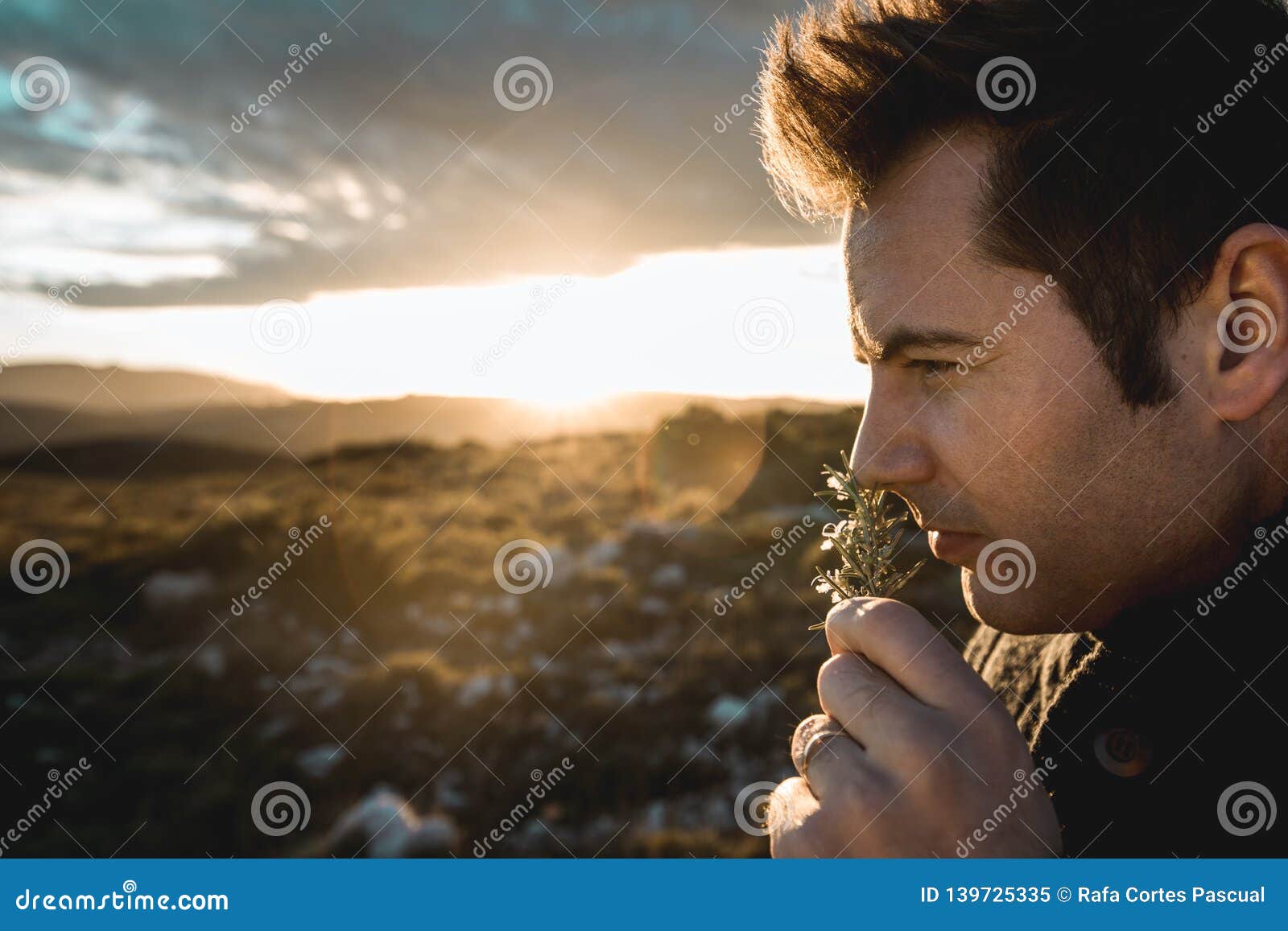 Young Man Smelling a Flower in the Field Stock Image - Image of ...