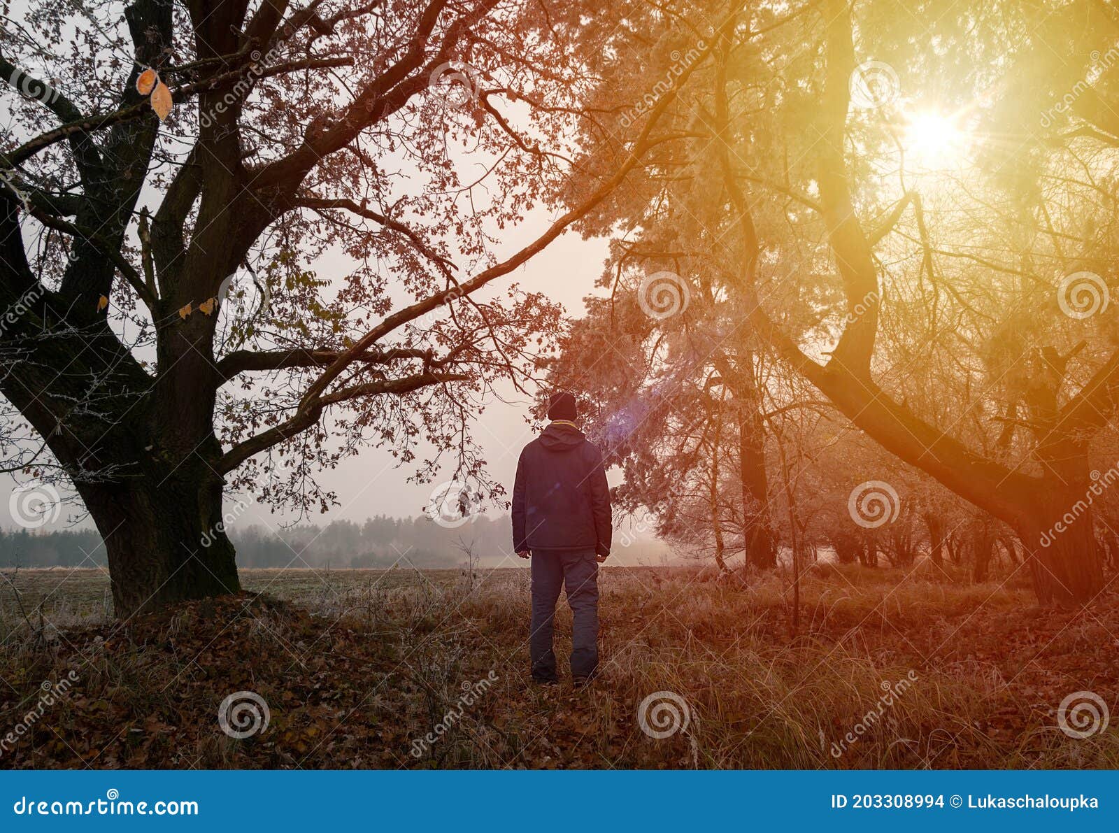 Young Man Standing in Fog Misty Tree Path at Sunset. Czech Landscape ...