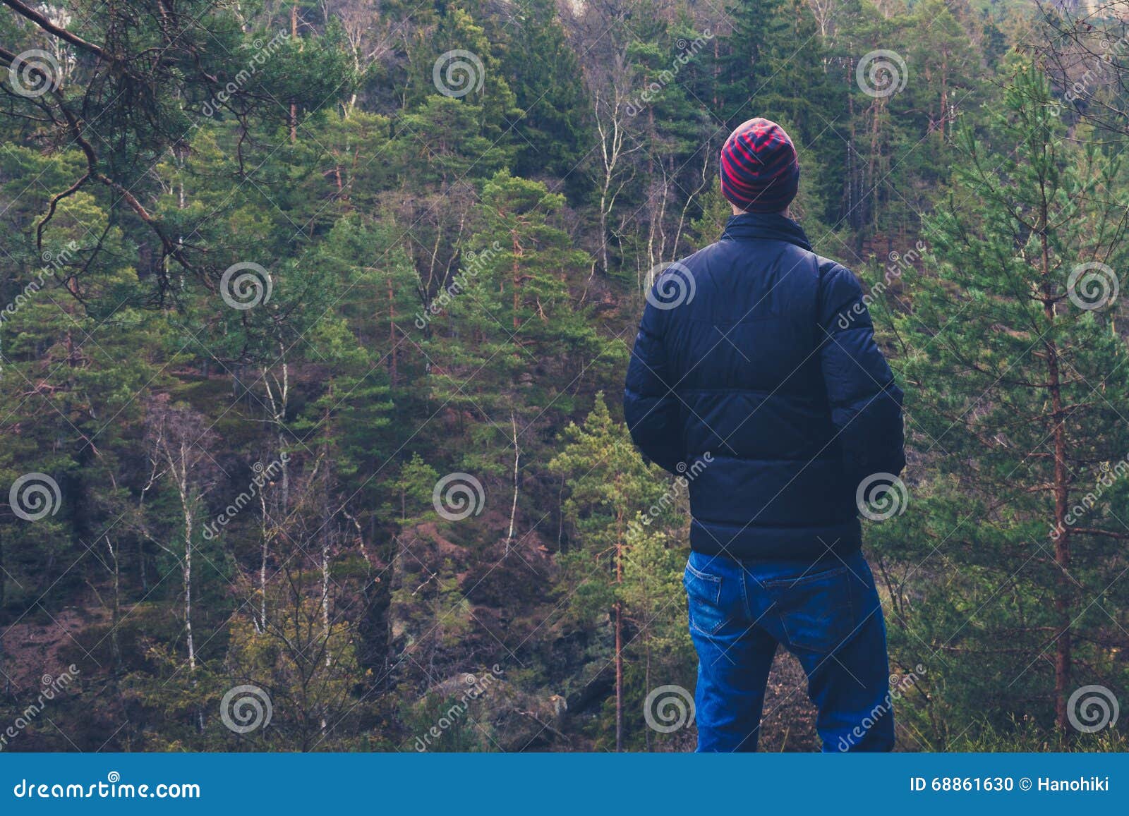 Young Man Standing in Forest Nature Looking Distance , Stock Photo ...