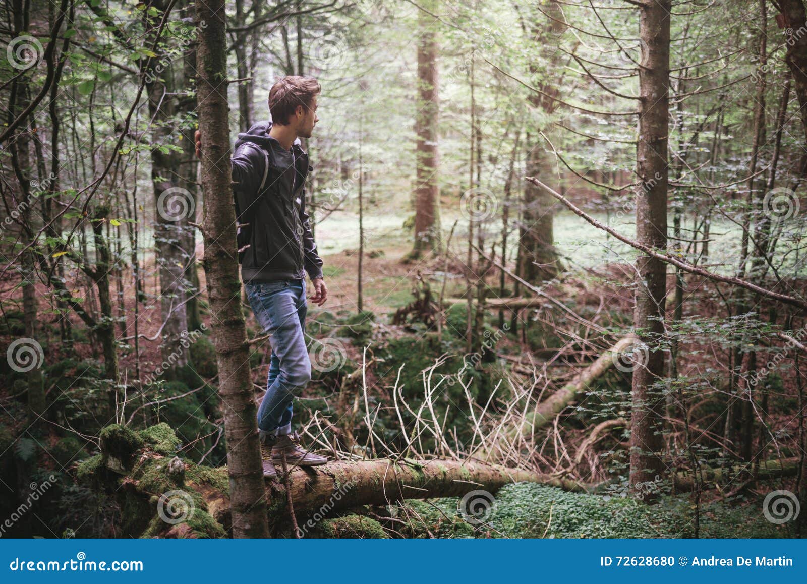 Young Man Standing in the Forest Stock Photo - Image of looking ...