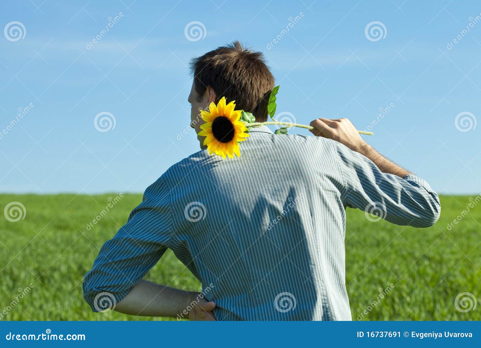 Young Man Standing with a Sunflower Stock Image - Image of hair, male ...