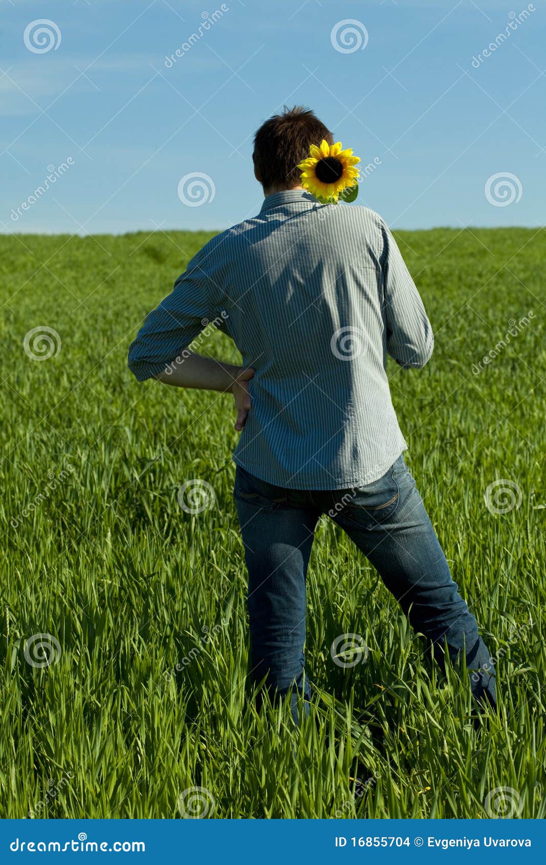 Young Man Standing with a Sunflower Stock Photo - Image of face, green ...