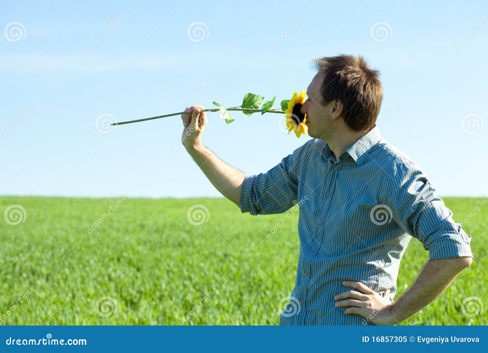Young Man Standing with a Sunflower Stock Image - Image of landscaped ...