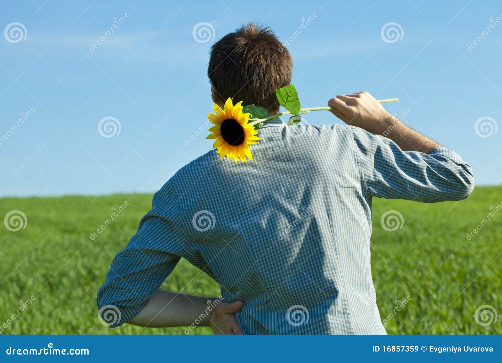 Young Man Standing with a Sunflower Stock Image - Image of portrait ...