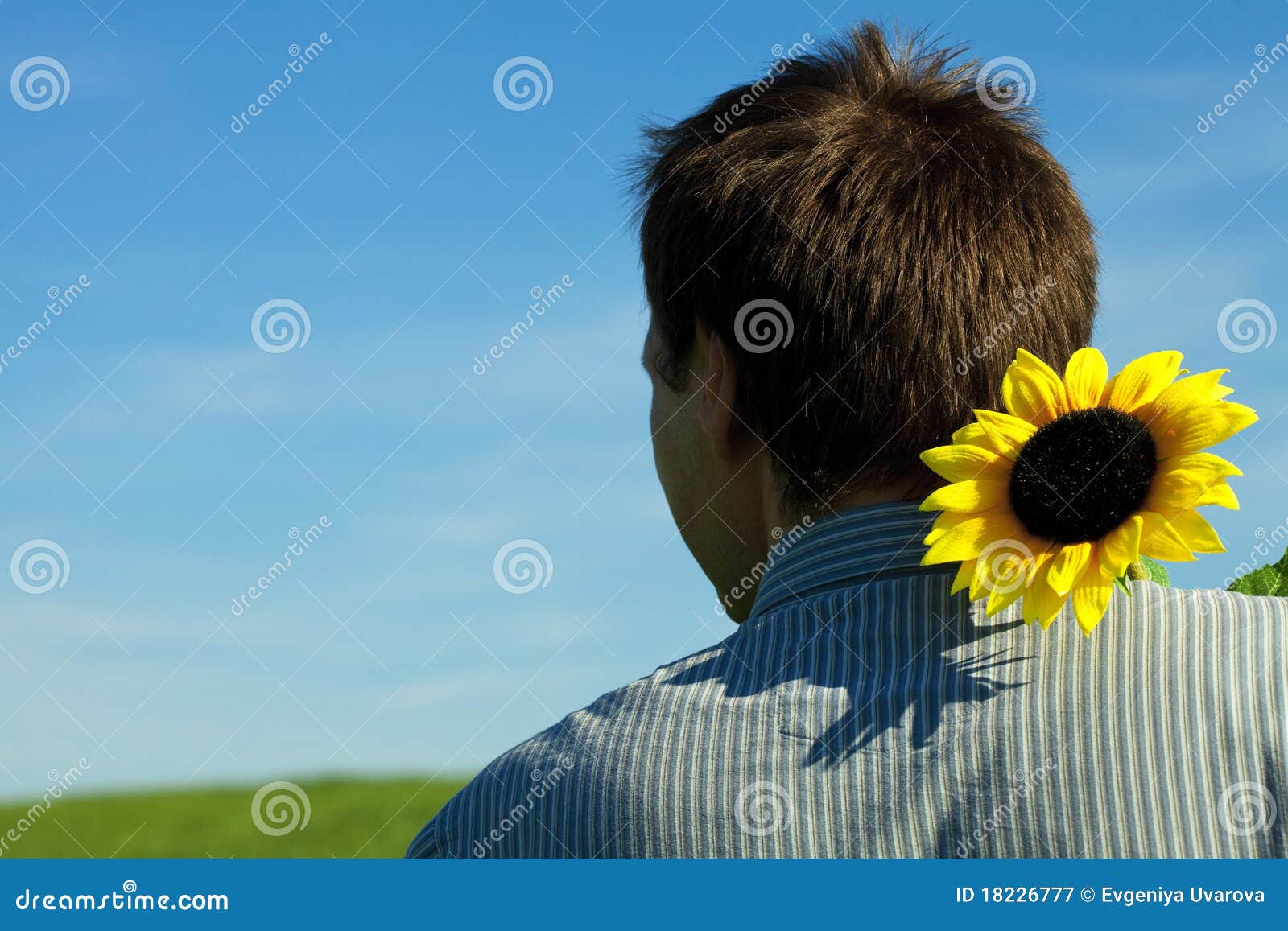Young Man Standing with a Sunflower Stock Image - Image of ripe, rural ...