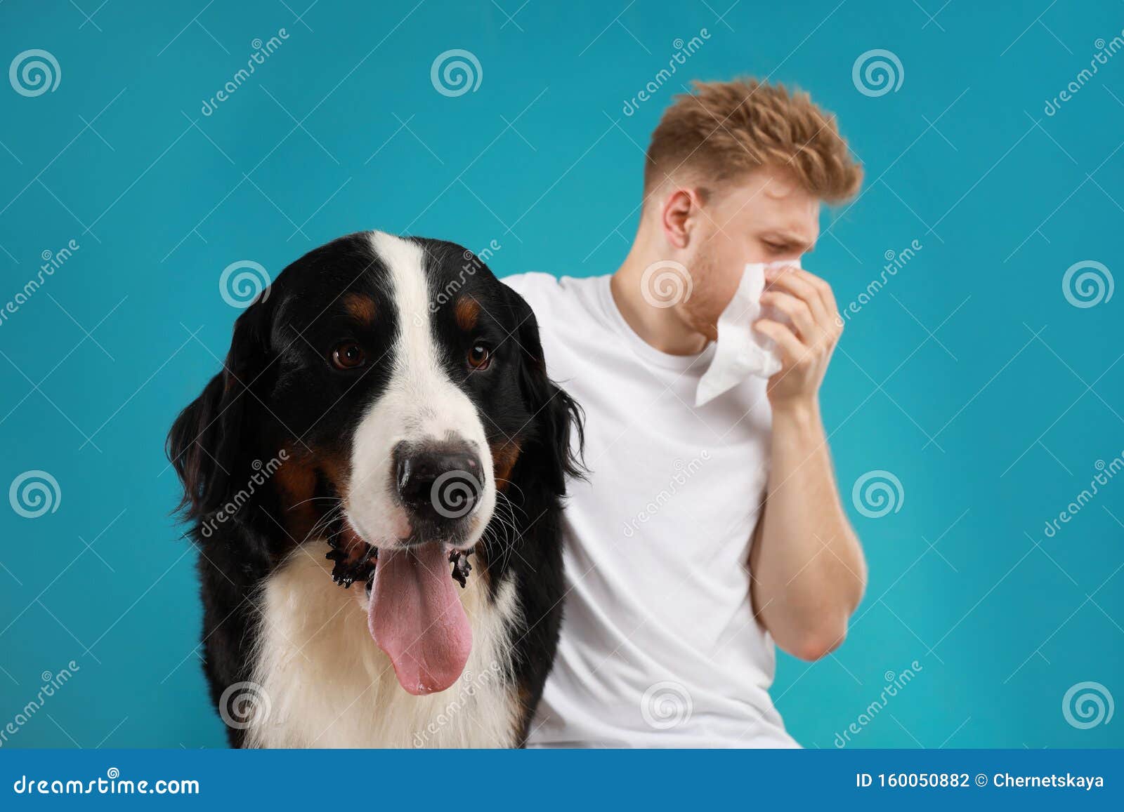 Young Man Suffering from Fur Allergy on Background Stock Photo - Image ...