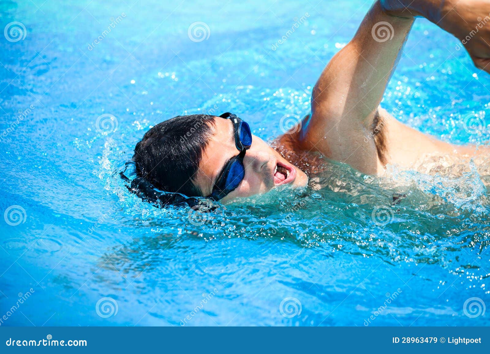 Young Man Swimming the Front Crawl Stock Image - Image of fast ...