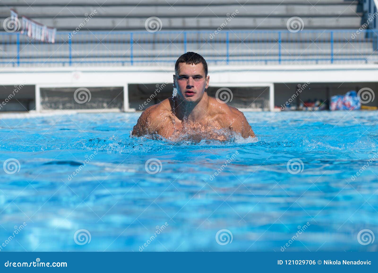 Young man swimming in pool stock photo. Image of people - 121029706