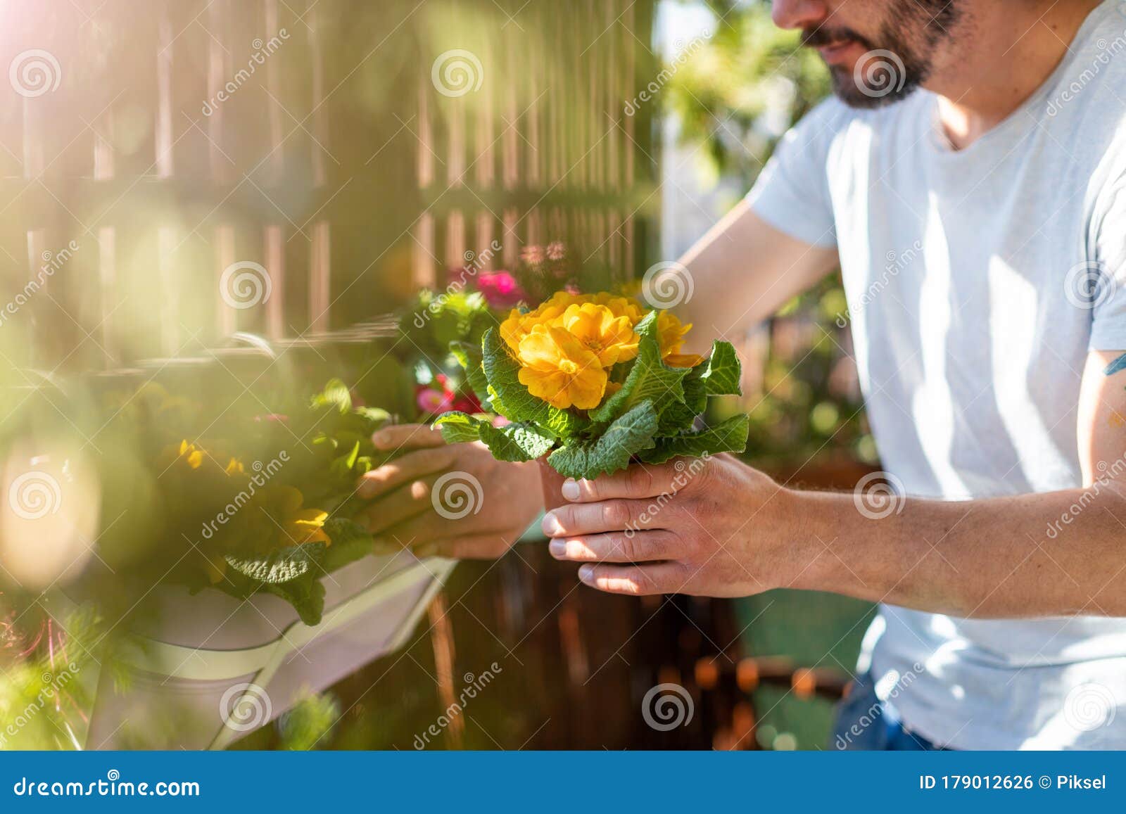 Man Taking Care of His Plants on the Balcony Stock Photo - Image of ...