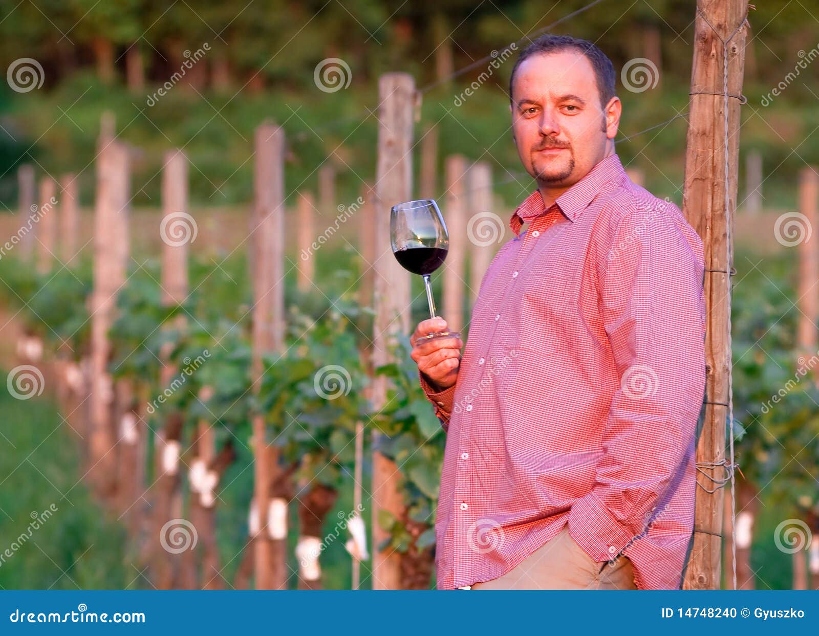 Young Man is Tasting Red Wine Stock Photo - Image of winery, staying ...