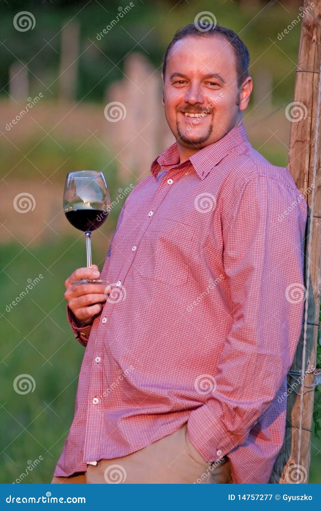 Young Man is Tasting Red Wine Stock Image - Image of vintner, vineyard ...