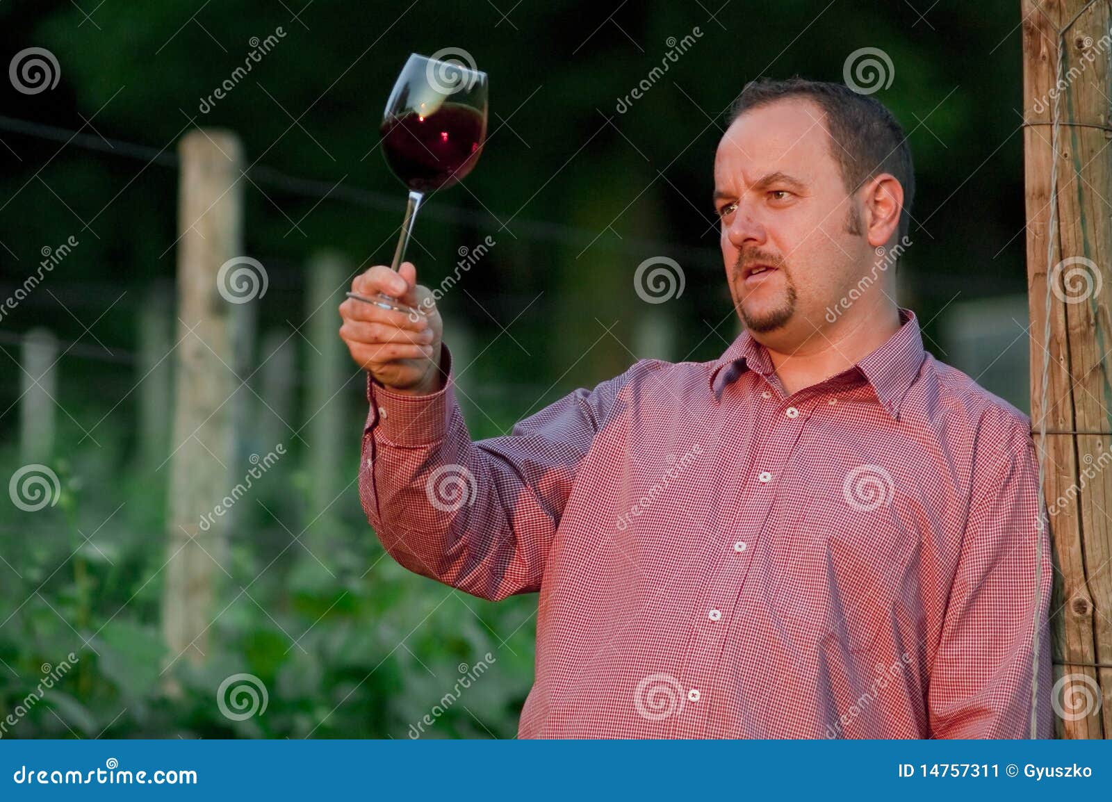Young Man is Tasting Red Wine Stock Image - Image of view, sommelier ...
