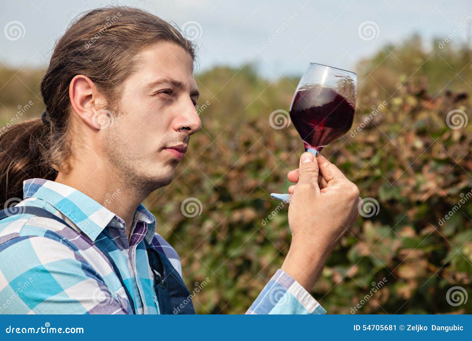 Young Man Tasting Wine stock image. Image of landscape - 54705681