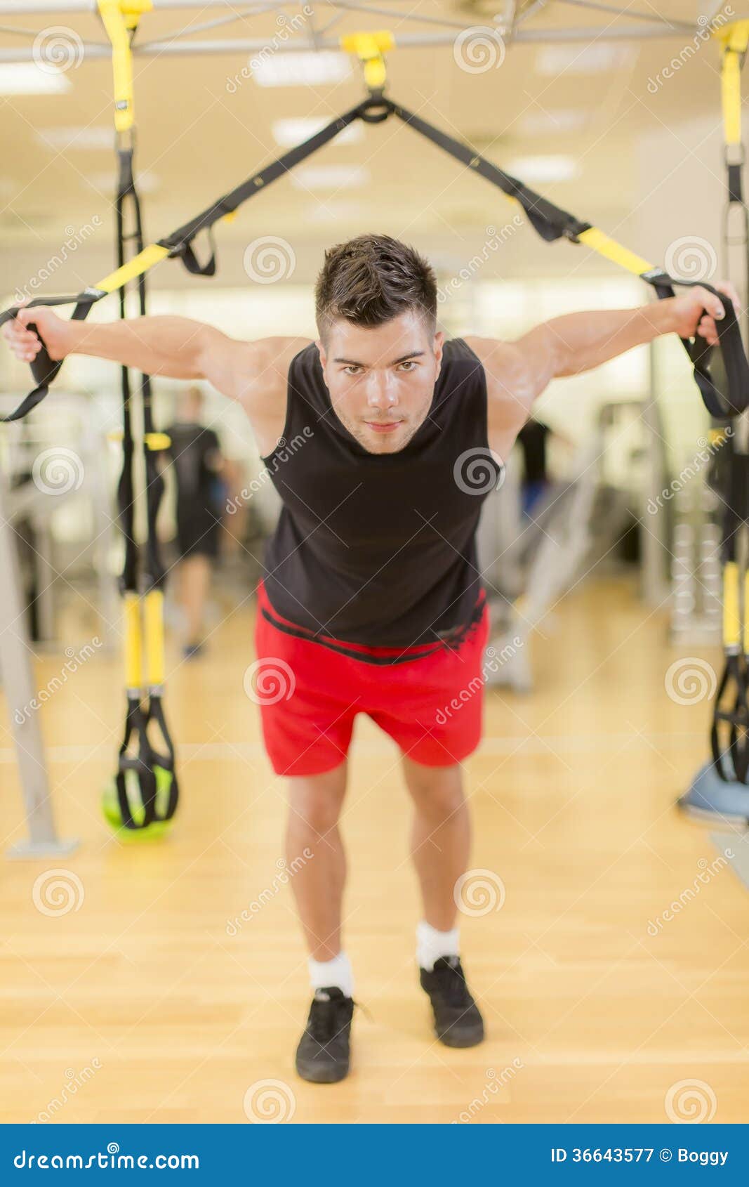 Young man training in gym stock image. Image of athlete - 36643577