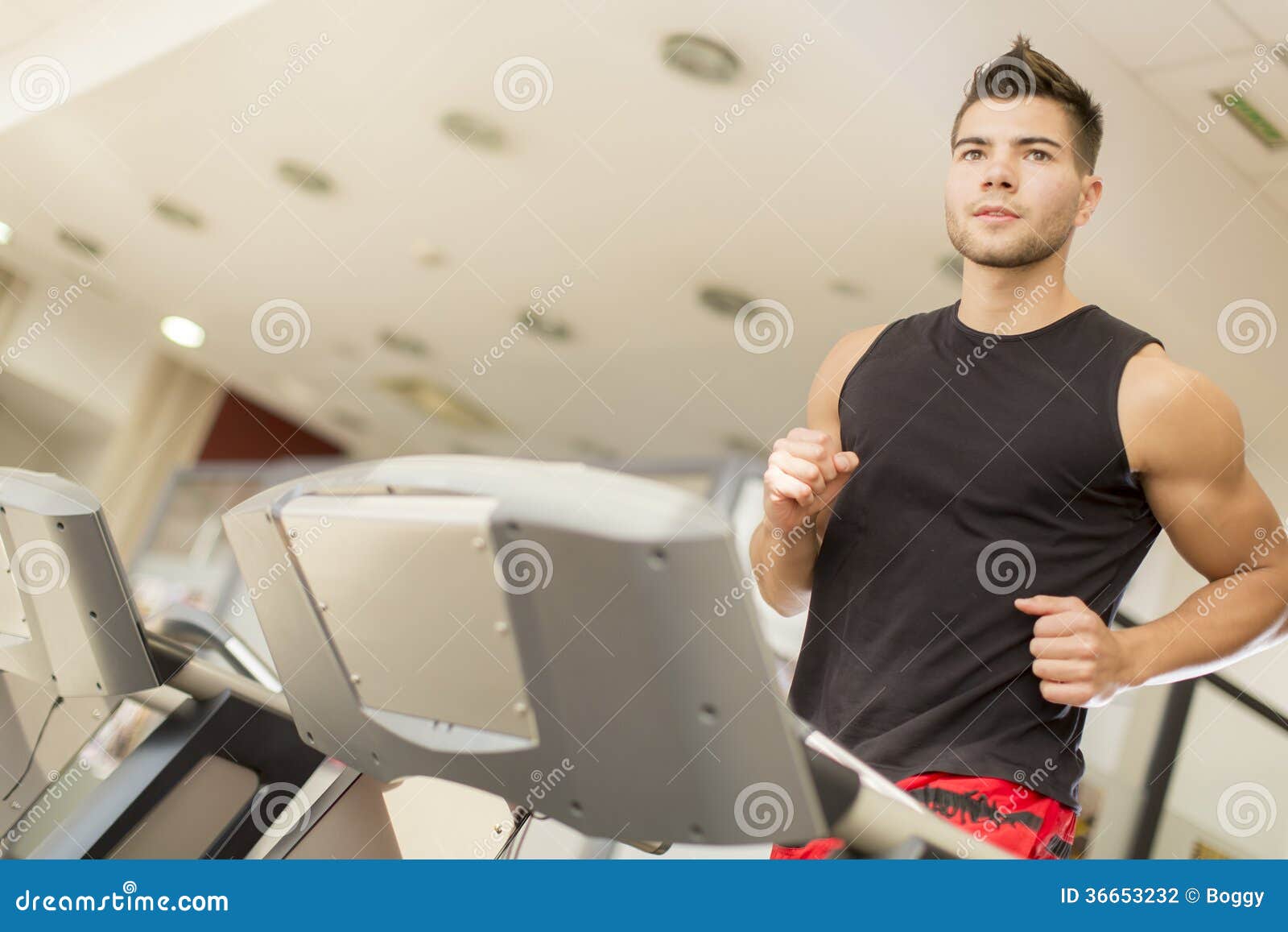 Young man training in gym stock photo. Image of determination - 36653232