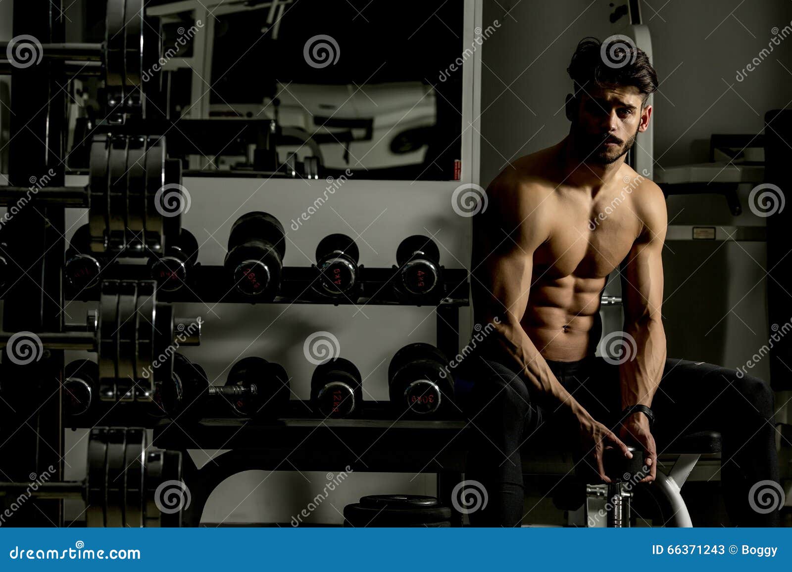 Young Man Training in the Gym Stock Image - Image of athlete, muscle ...