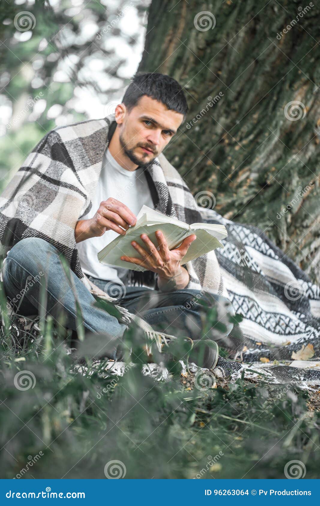 The Young Man at the Tree Reading a Book Stock Photo - Image of filters ...