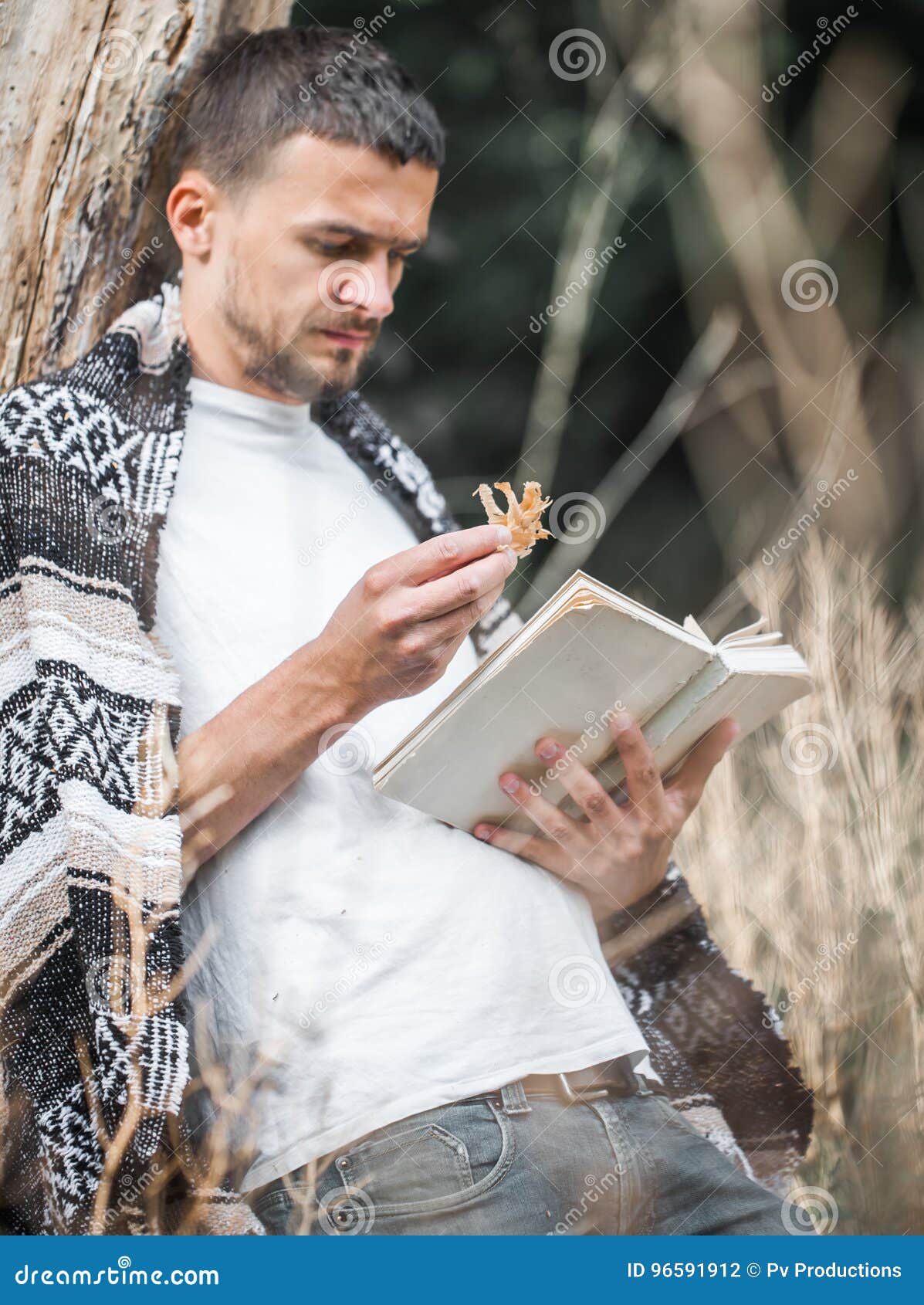 The Young Man at the Tree Reading a Book Stock Photo - Image of ...