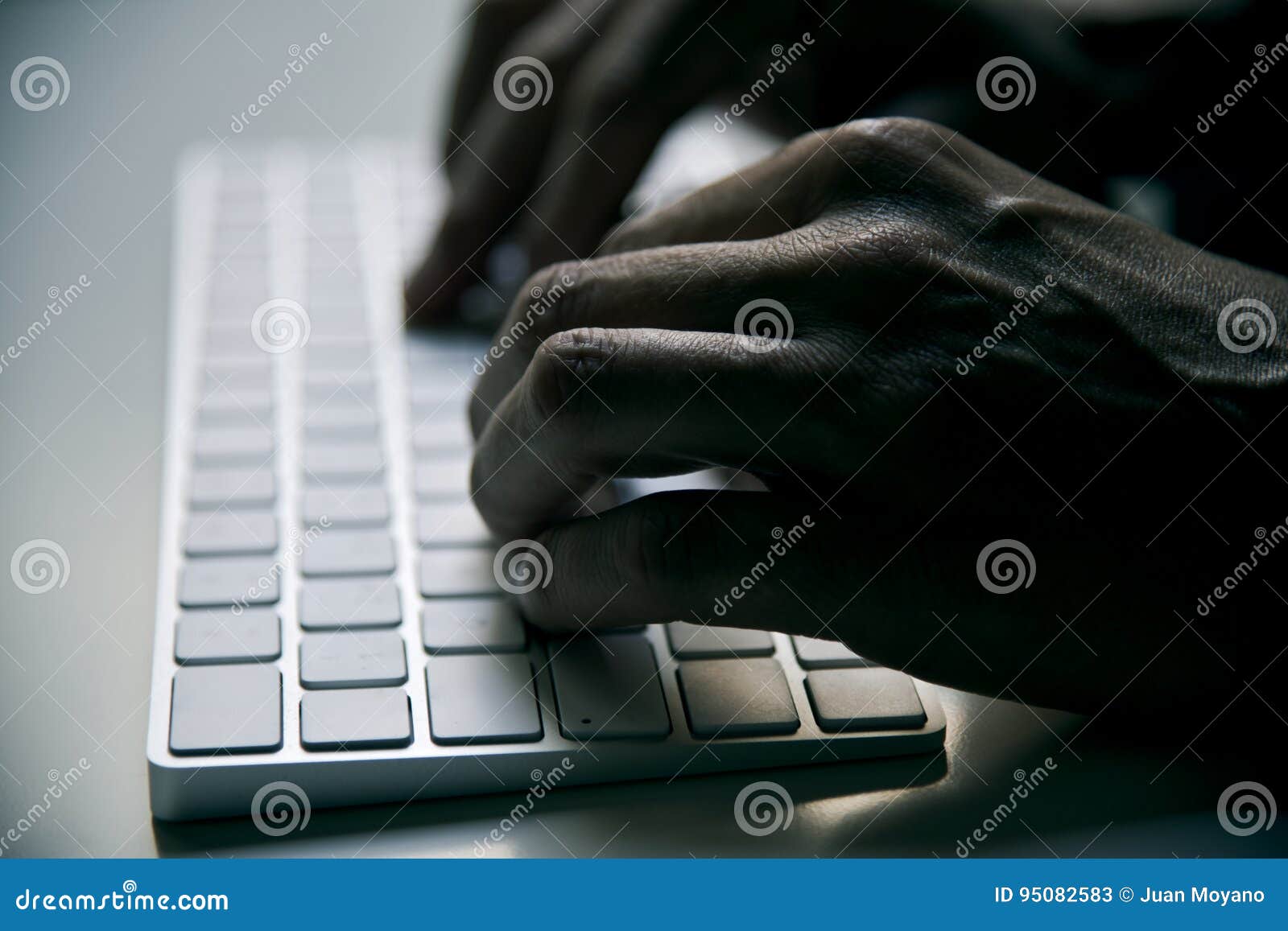 Young Man Typing in a Computer Keyboard Stock Image - Image of horse ...