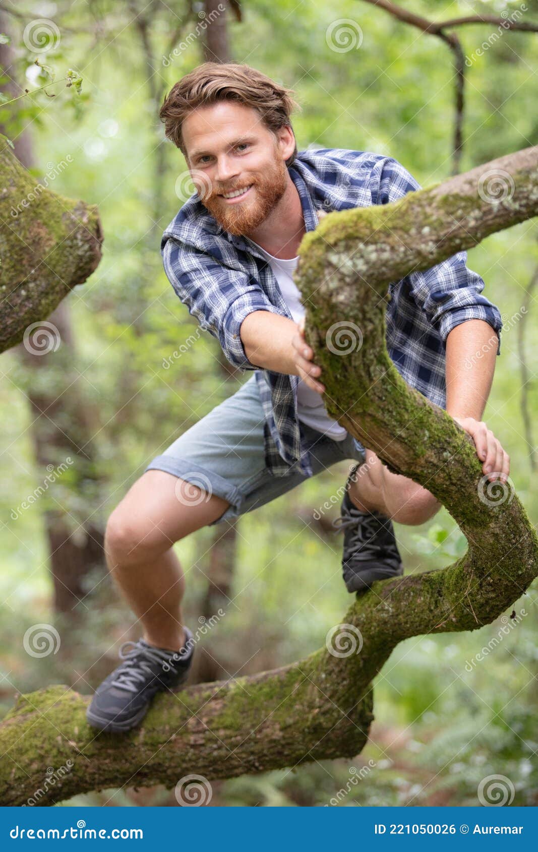 Young man up on tree stock photo. Image of lookingup - 221050026