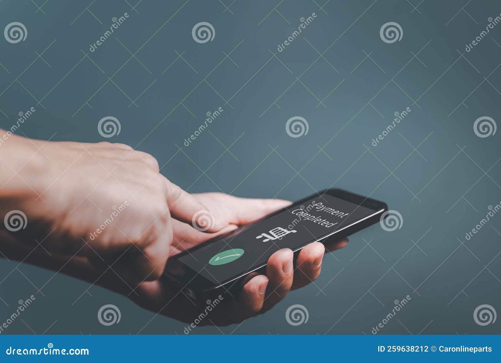 Electronic Payment on Mobile Phone, Customer Holding Smartphone and ...