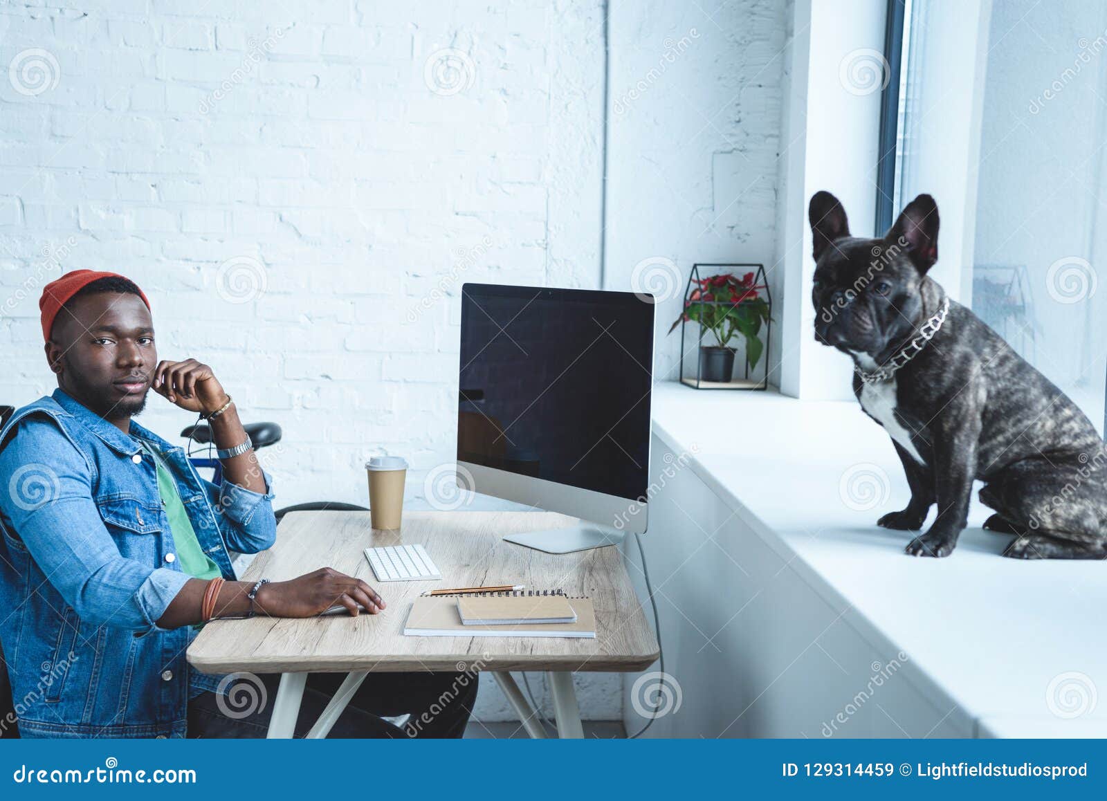Young Man Working by Computer while Frenchie Dog Sitting Stock Image ...